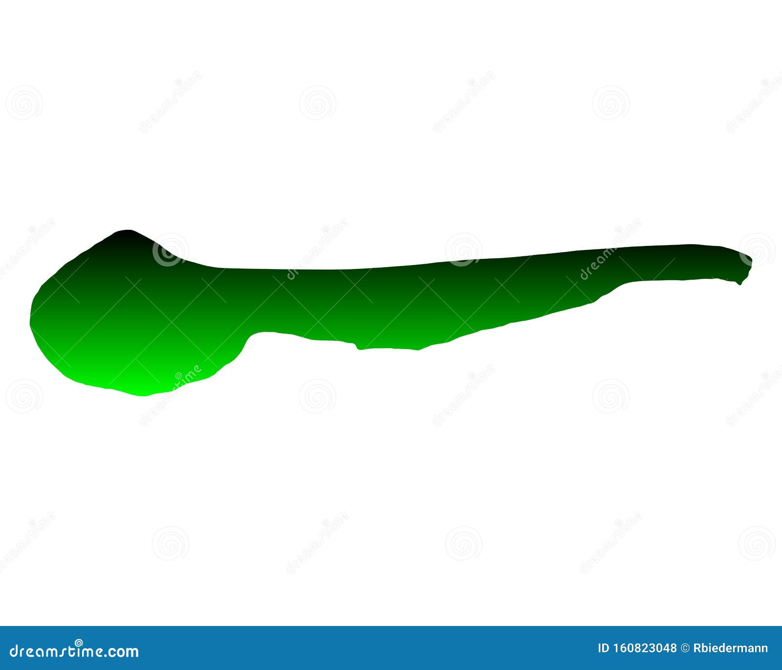 Ameland Island Kingdom Of Netherlands, West Frisian Islands Map Vector ...