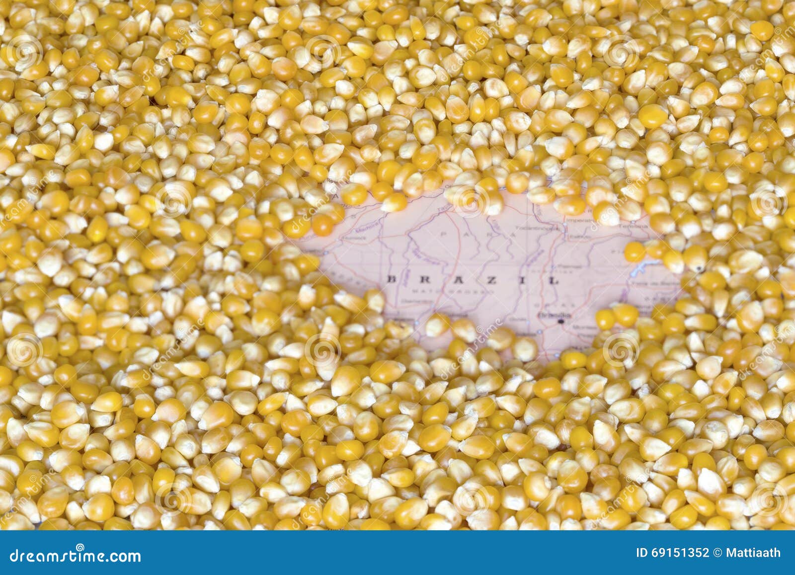 Map of Brazil Under a Background of Corn Seeds Stock Photo - Image of ...
