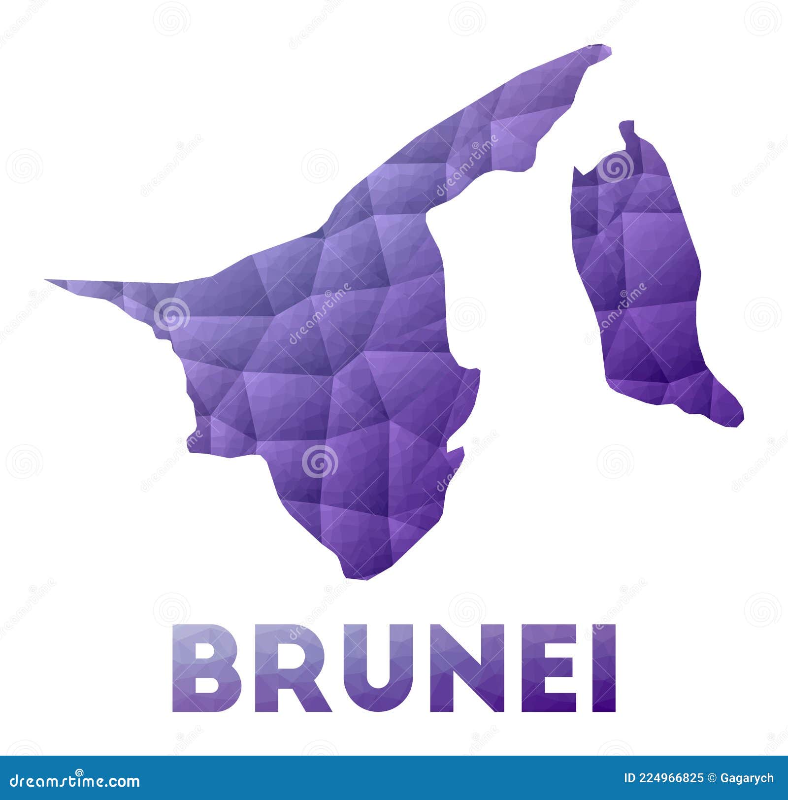 Map Of Brunei. Cartoon Vector | CartoonDealer.com #224966825