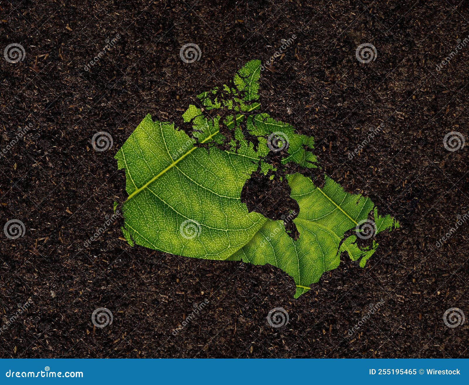 Map of Canada Made Out of Green Leaves on Soil Background Stock Image ...
