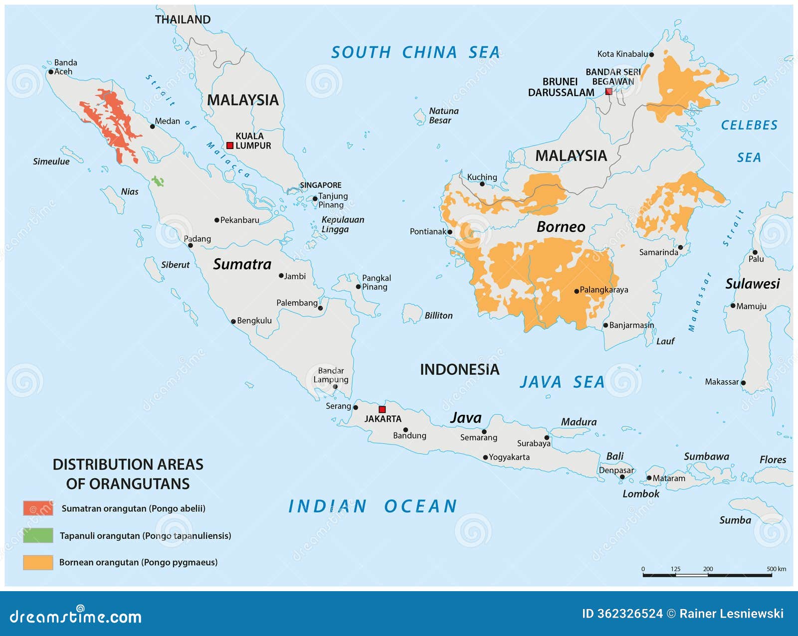 Map of the Distribution Areas of Orangutans Stock Illustration ...