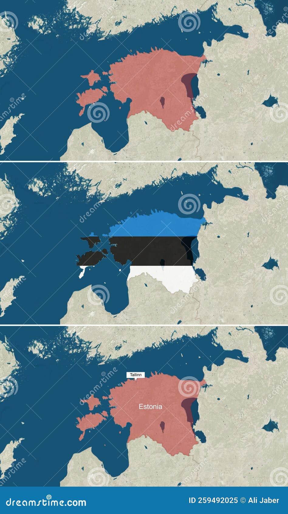 The Map of Estonia with Text, Textless, and with Flag Stock ...