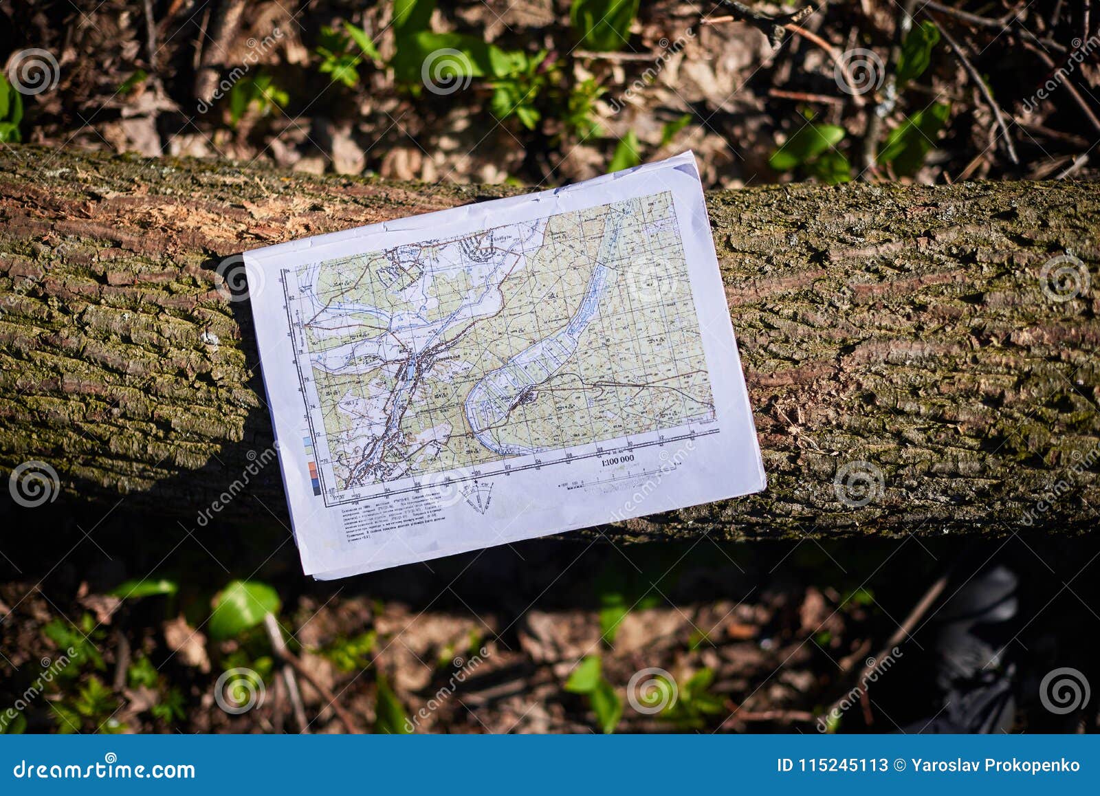 Map in the Forest. the Concept of Travel Stock Image - Image of travel ...