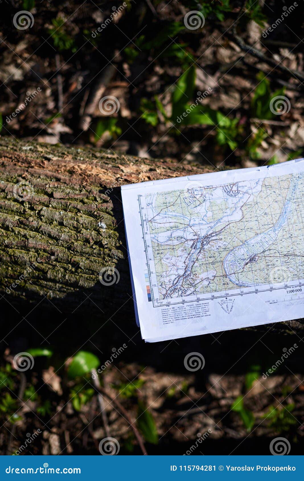 Map in the Forest. the Concept of Travel Stock Image - Image of ...