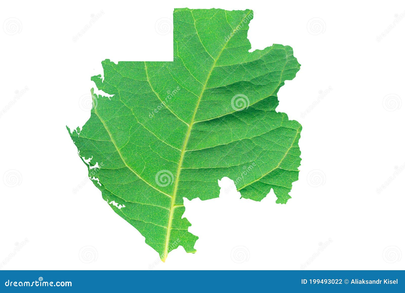 Map of Gabon in Green Leaf Texture on a White Isolated Background ...