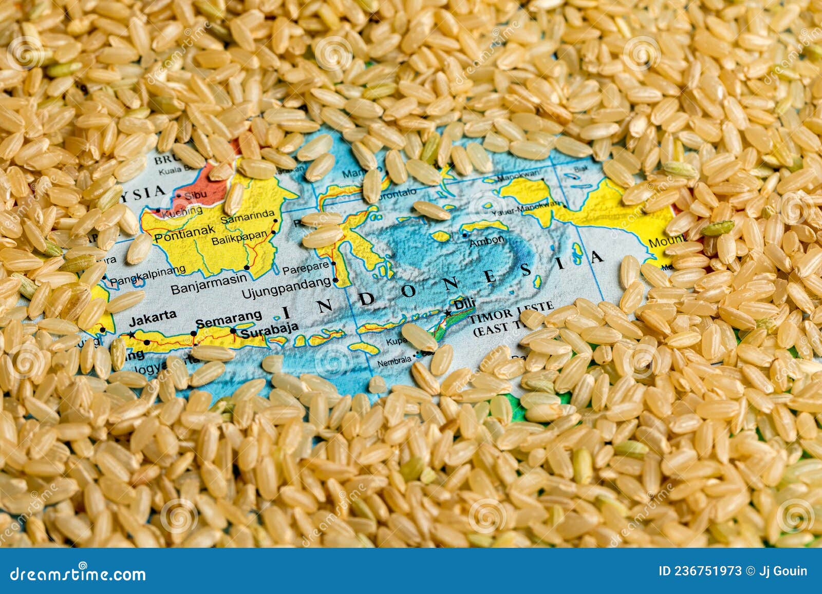 Map of Indonesia Surrounded by Rice Stock Image - Image of oryza ...
