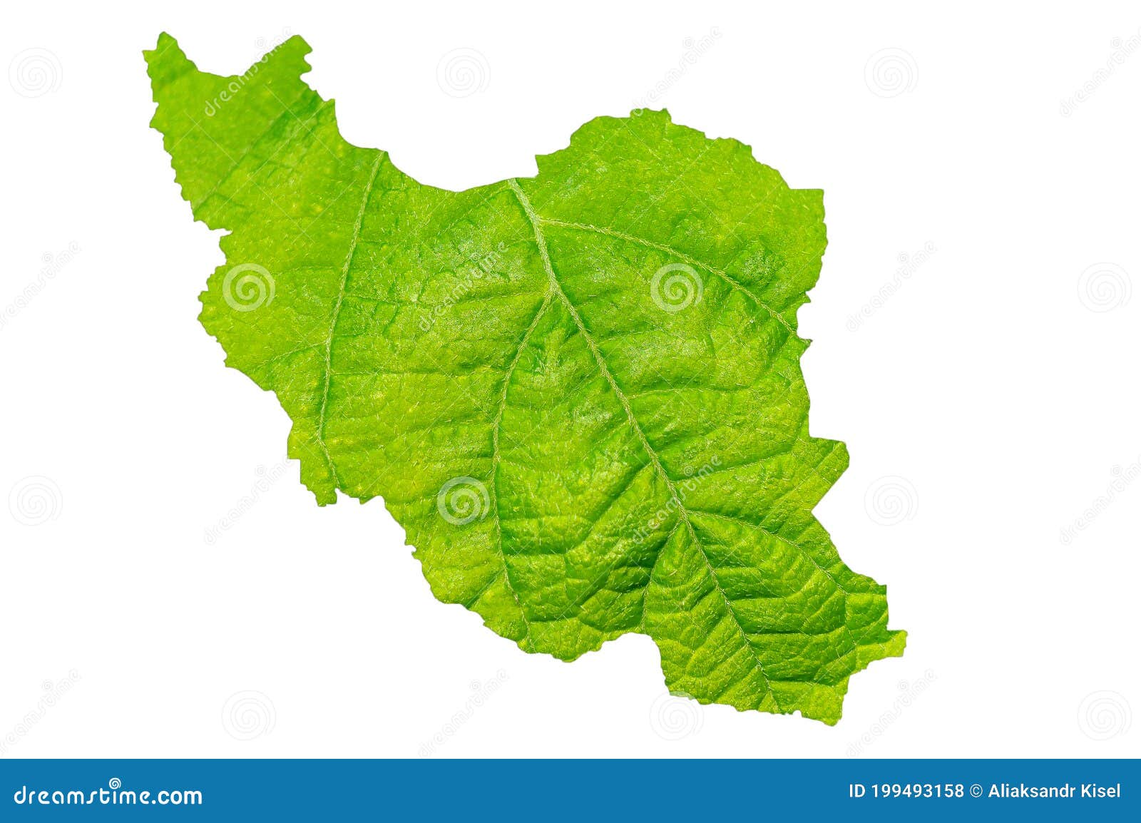 Map of Iran in Green Leaf Texture on a White Isolated Background ...