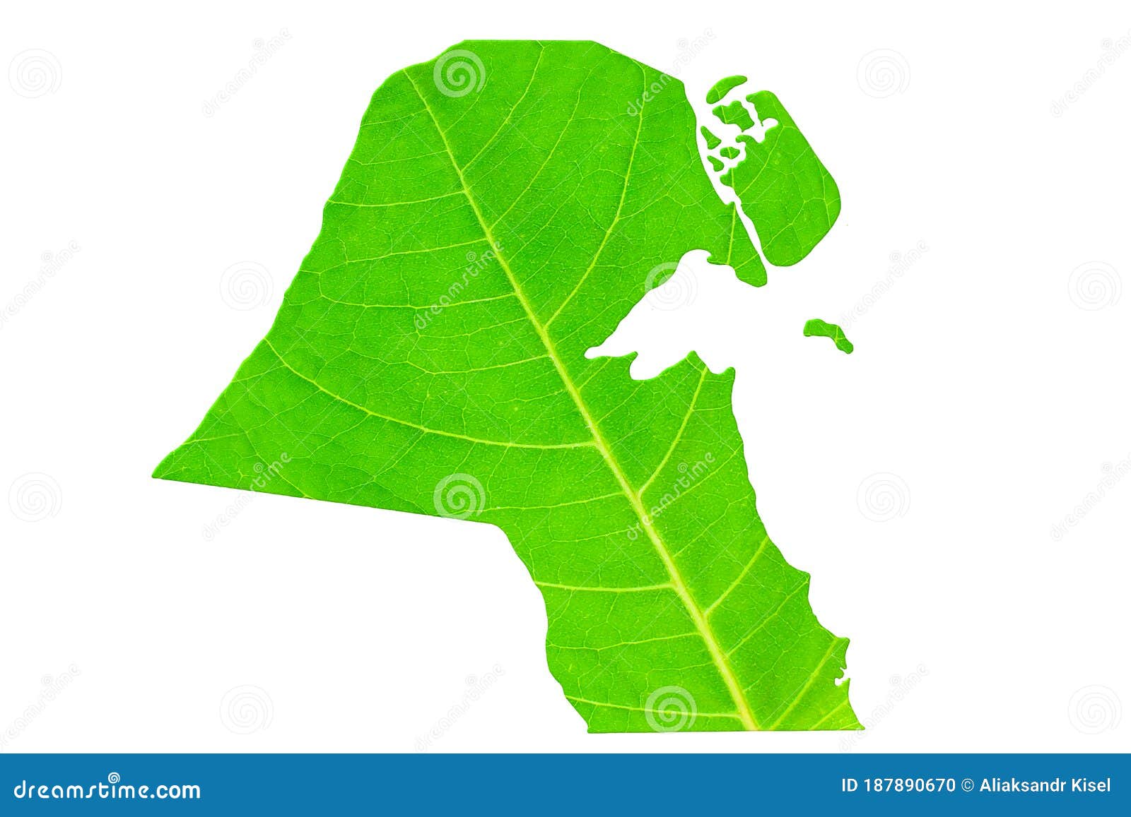 Map of Kuwait in Green Leaf Texture on a White Isolated Background ...