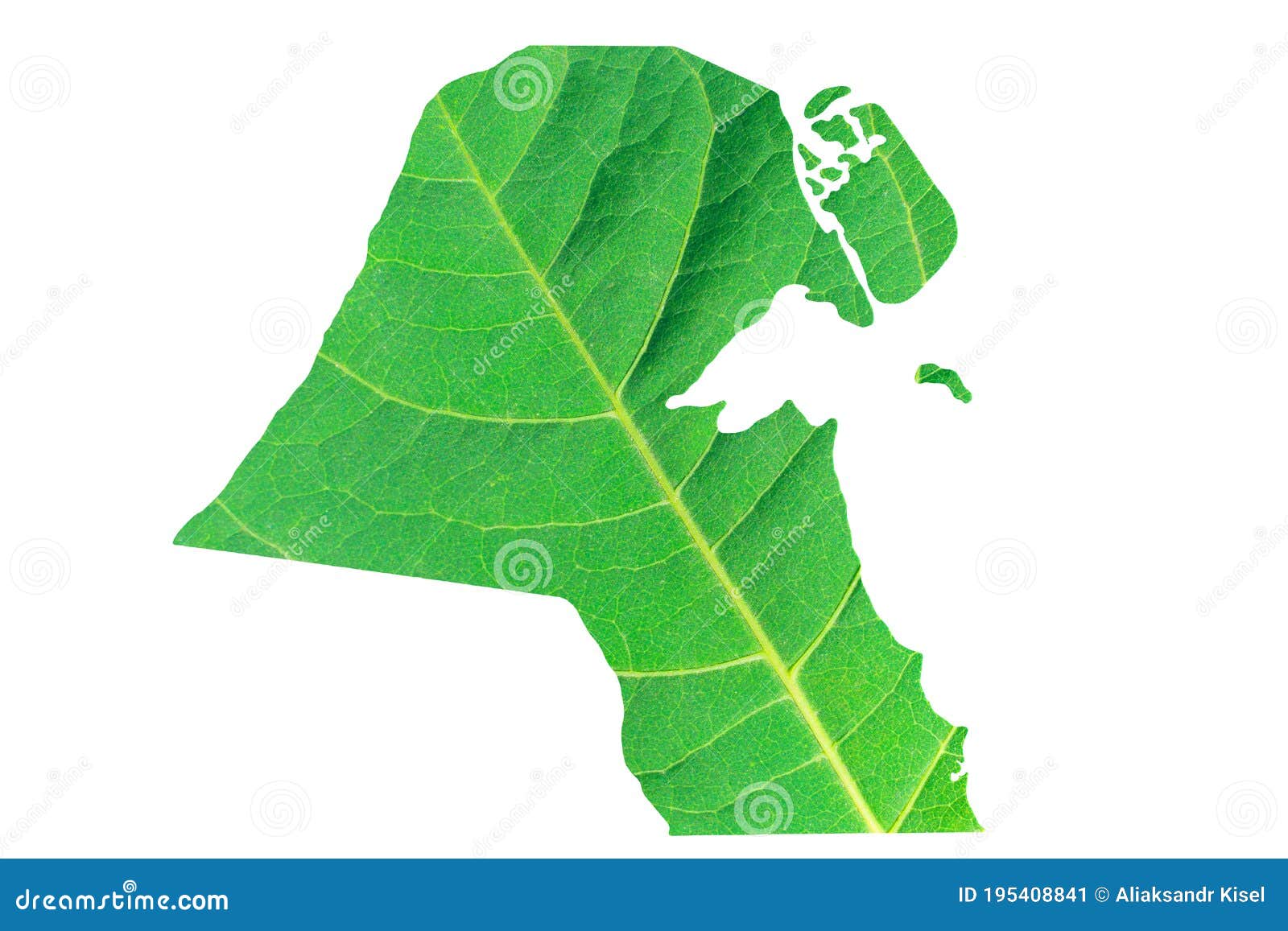 Map of Kuwait in Green Leaf Texture on a White Isolated Background ...