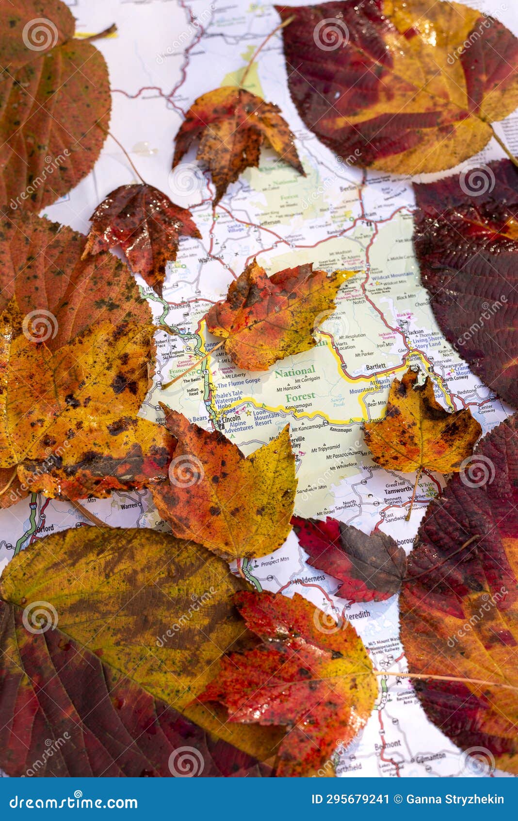 Map with National Parks and Autumn Leaves. Stock Image - Image of ...