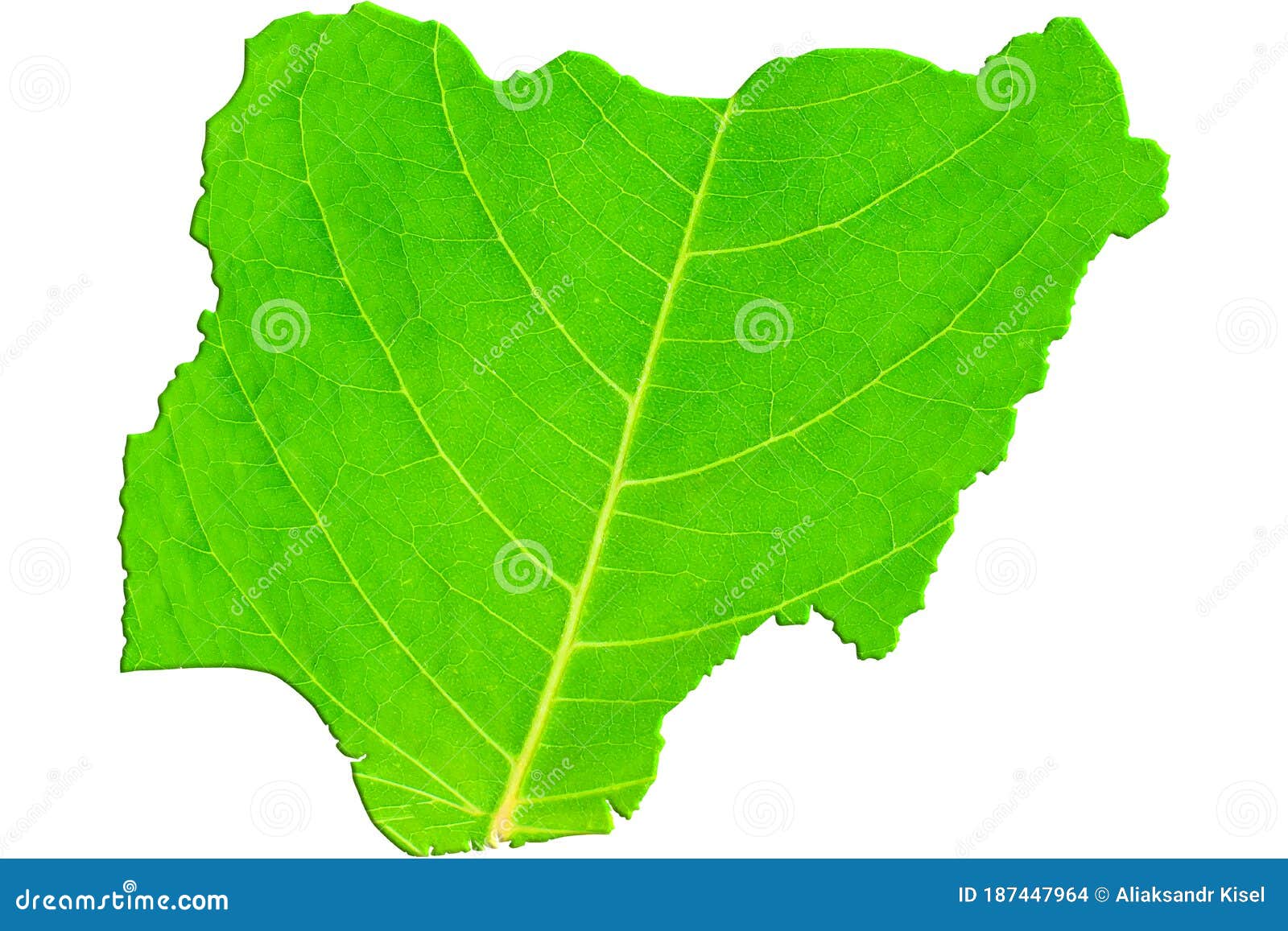 Map of Nigeria in Green Leaf Texture on a White Isolated Background ...
