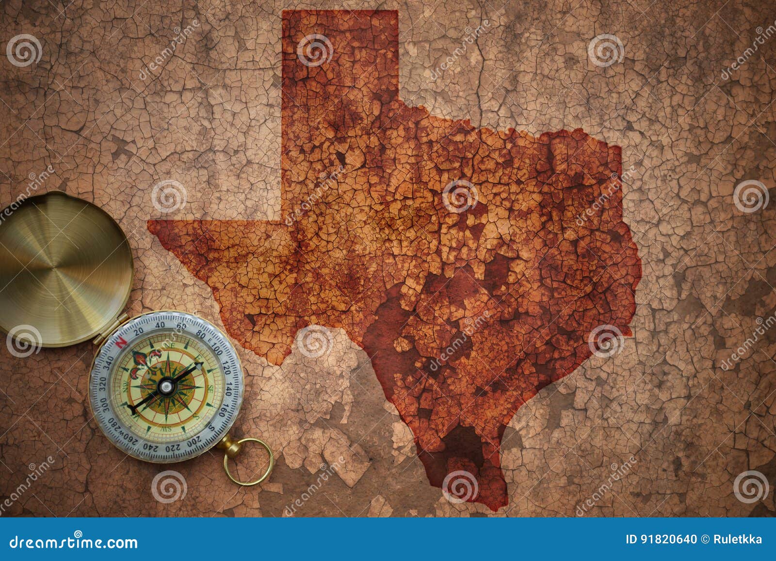 Texas Paper Wasp - Polistes Apaches Fuscatus Texanus - , Apache Wasp ...