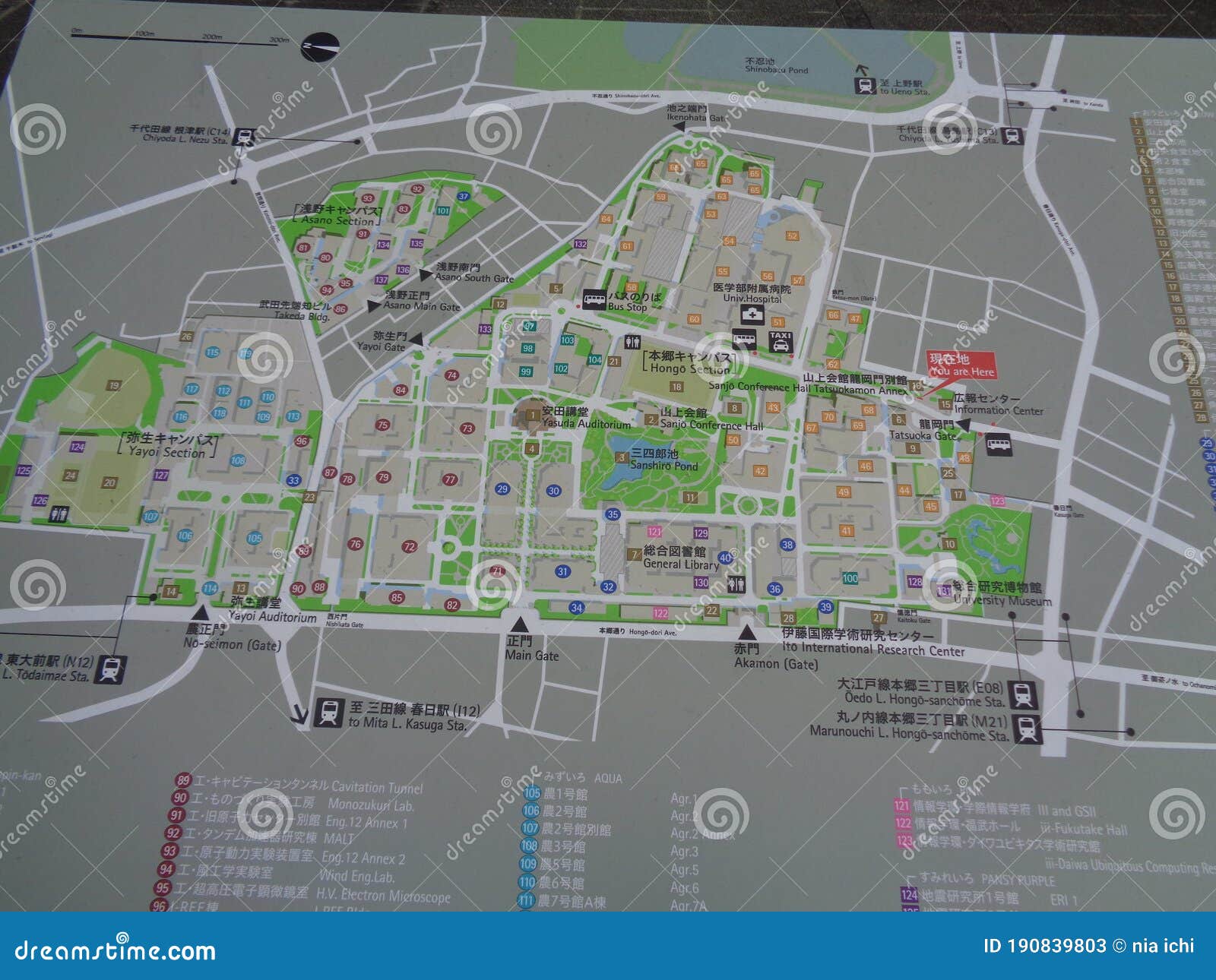 Map of the University of Tokyo, 2016 Editorial Stock Photo - Image of ...