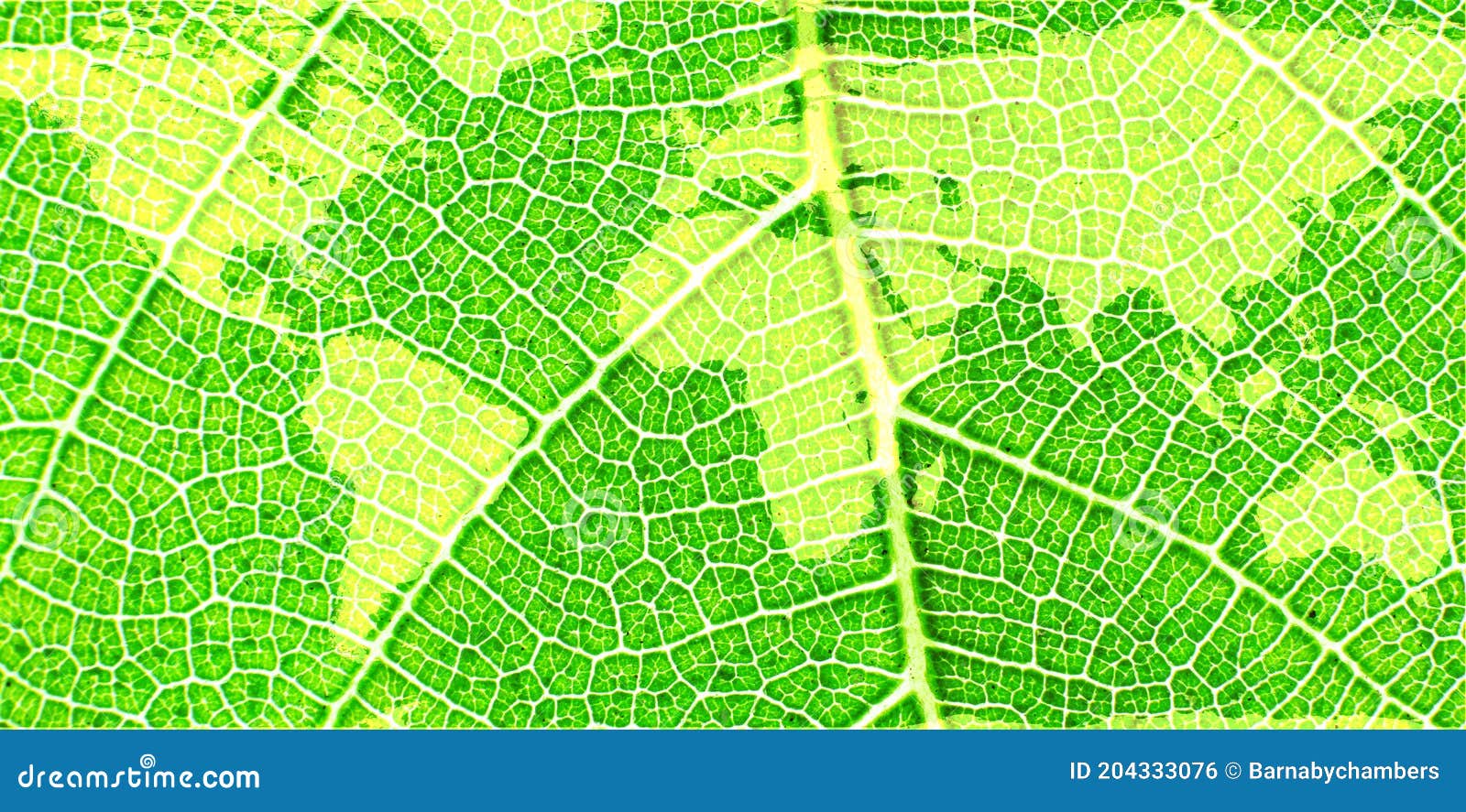 Map of the World on a Green Leaf- Original Image of Earth from NASA ...