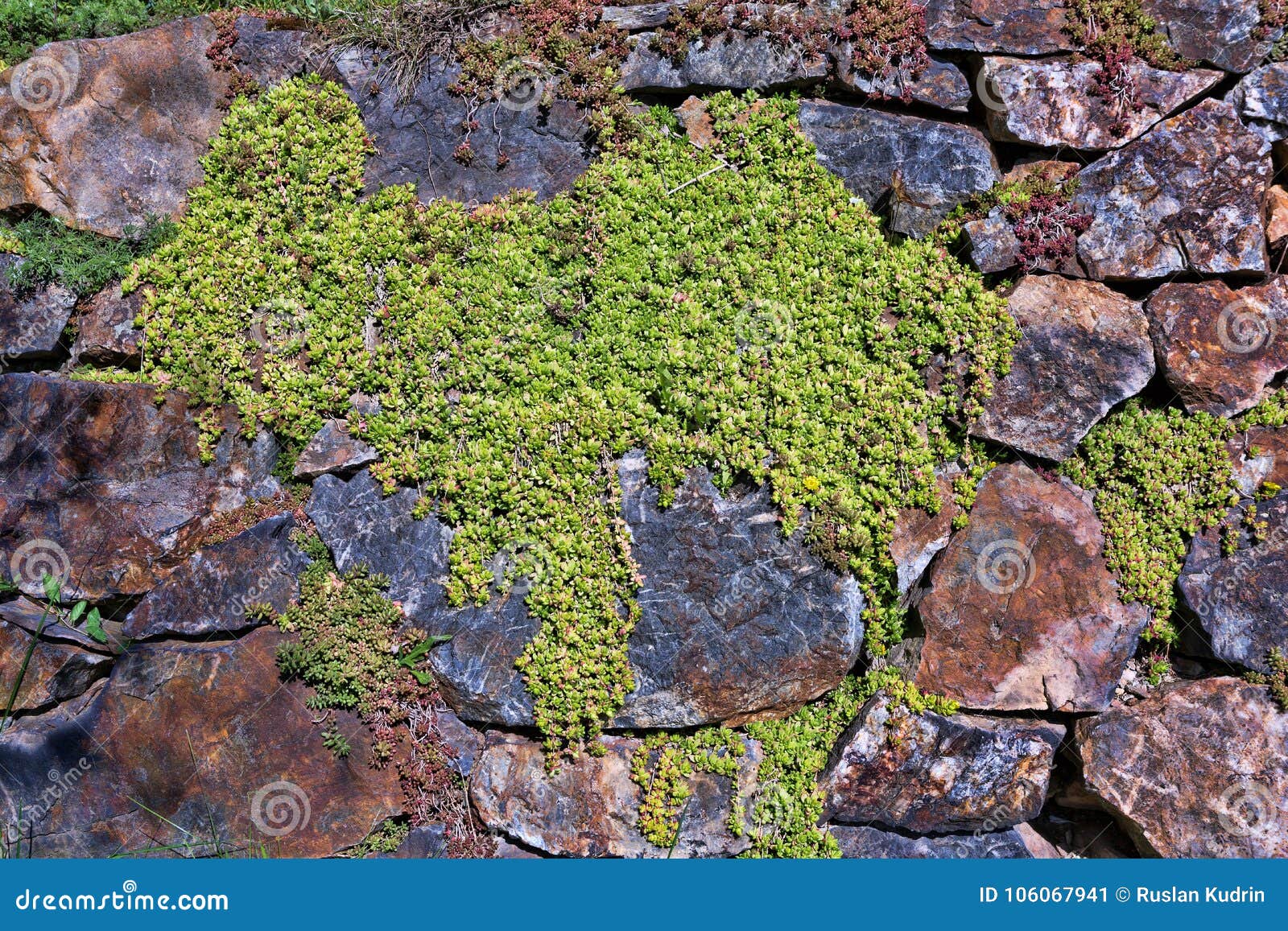 Mapa da terra imagem de stock. Imagem de fundo, forma - 106067941