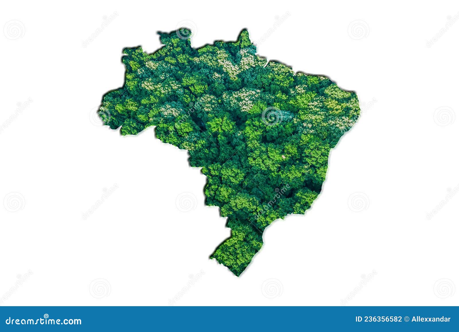 Mapa De Bosques Verdes De Brasil Foto de archivo - Imagen de ecosistema ...