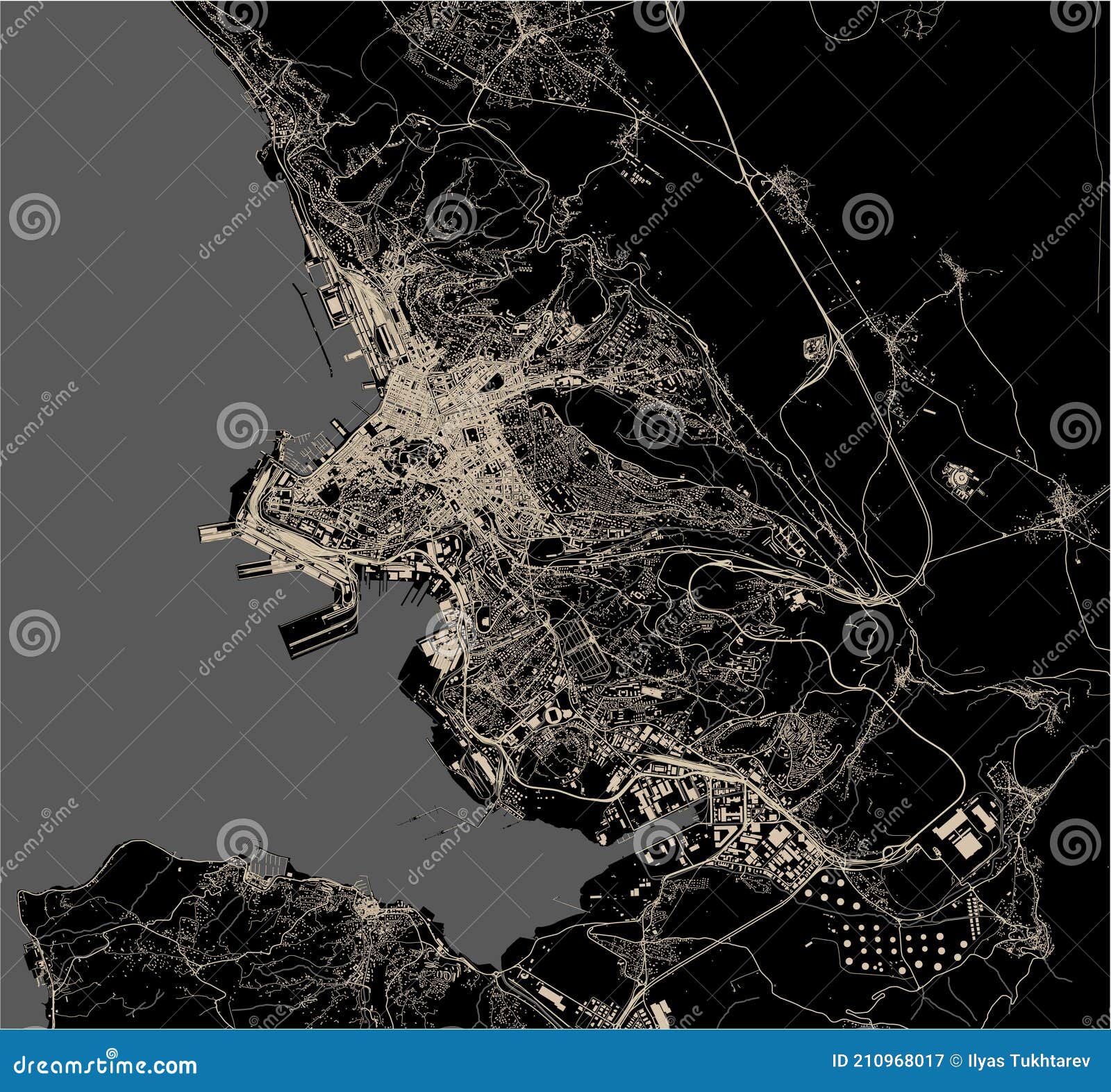 Mapa De La Ciudad De Trieste Italia Ilustración del Vector ...