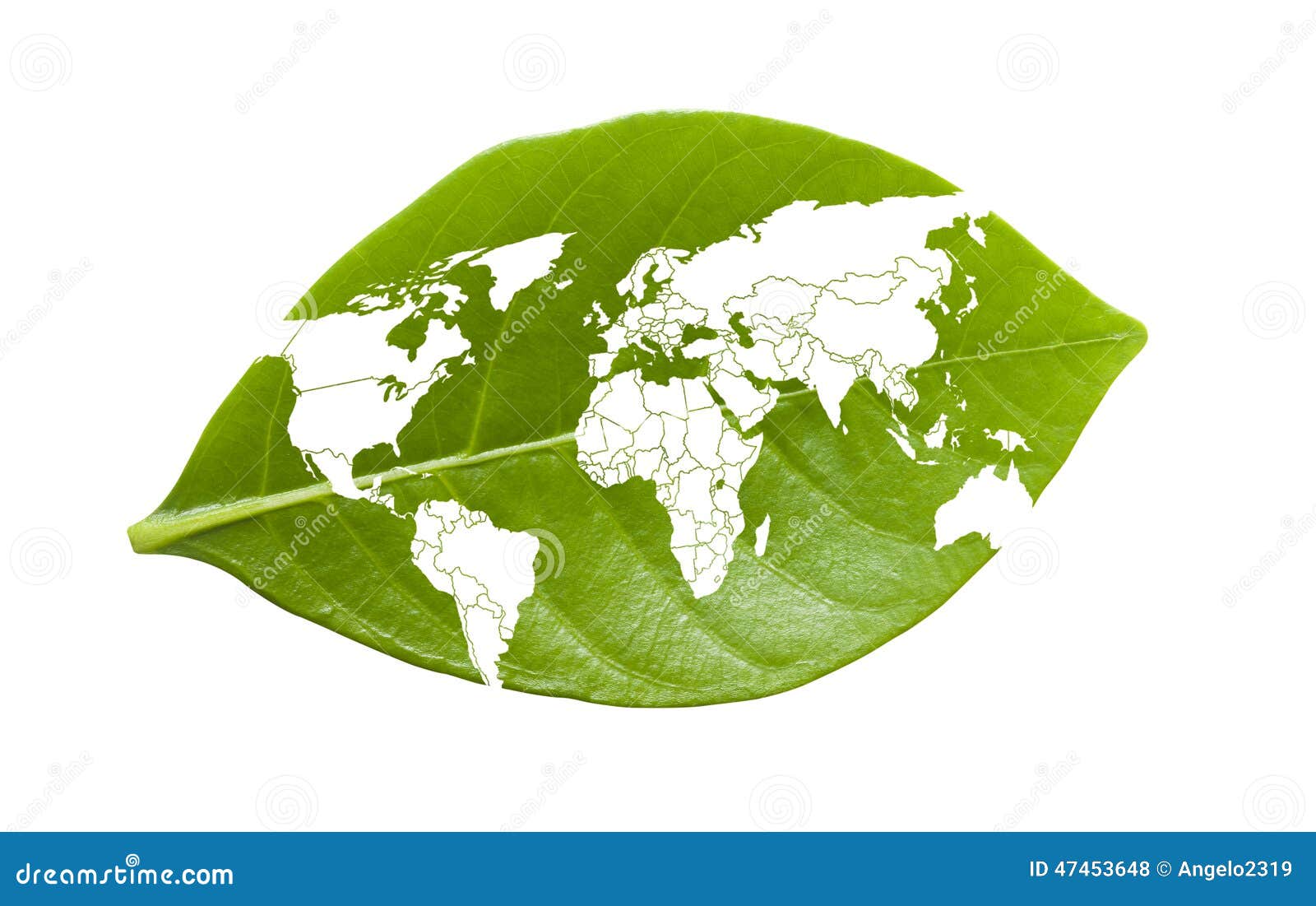 Mapa del mundo en la hoja foto de archivo. Imagen de limpio - 47453648