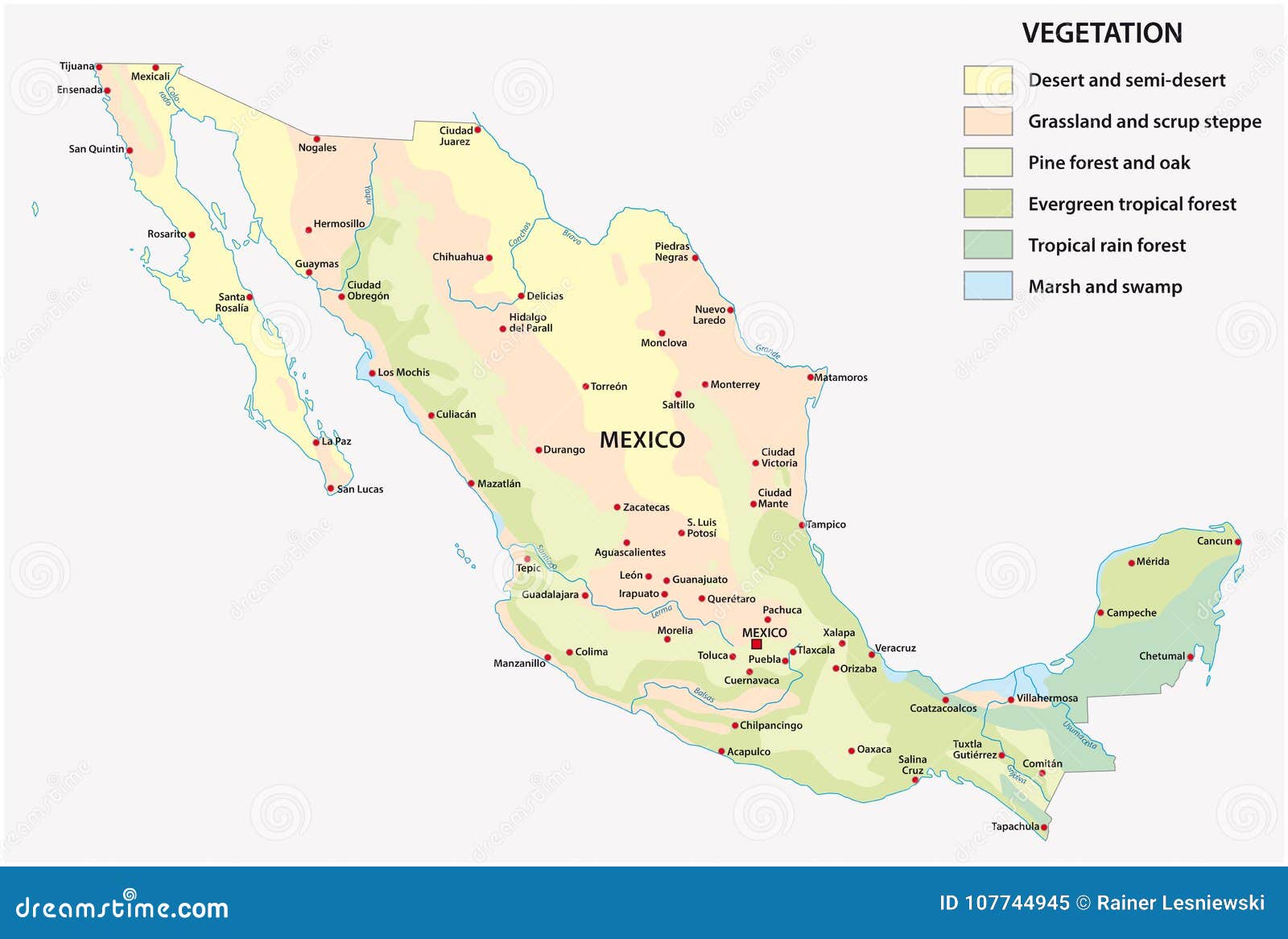 Mapa Del Vector De La Vegetación De México Ilustración del Vector ...