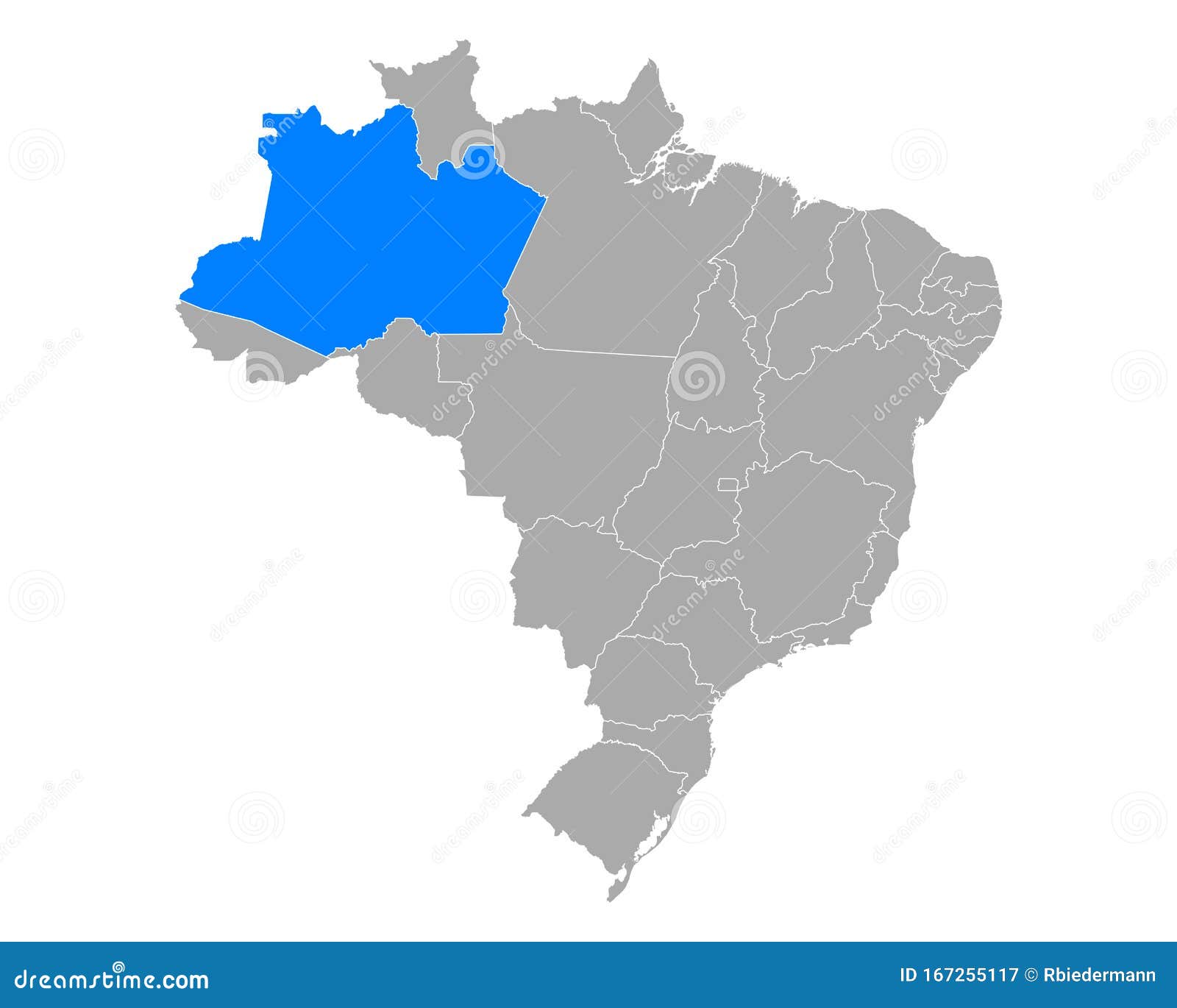 Mapa do Amazonas no Brasil ilustração do vetor. Ilustração de ...