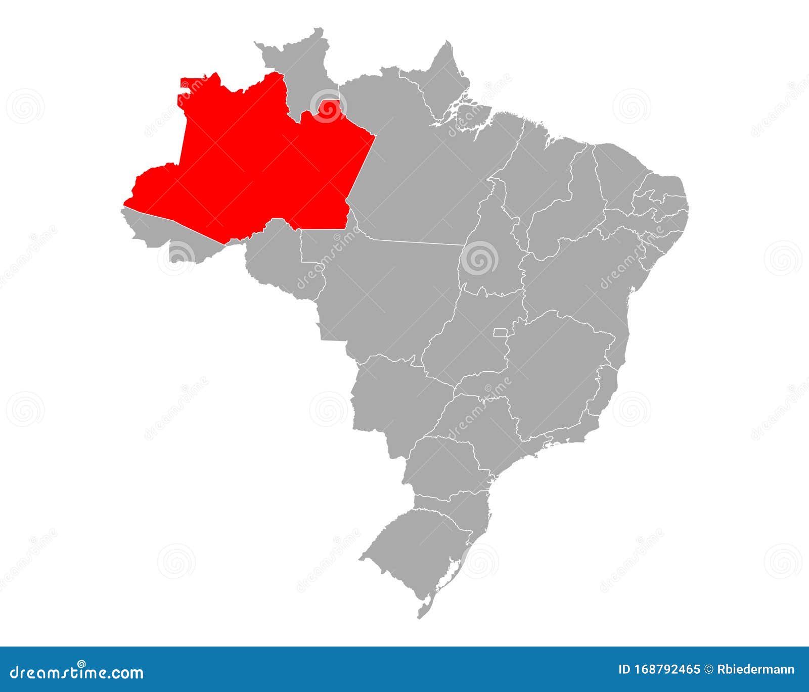 Mapa do Amazonas no Brasil ilustração do vetor. Ilustração de isolado ...