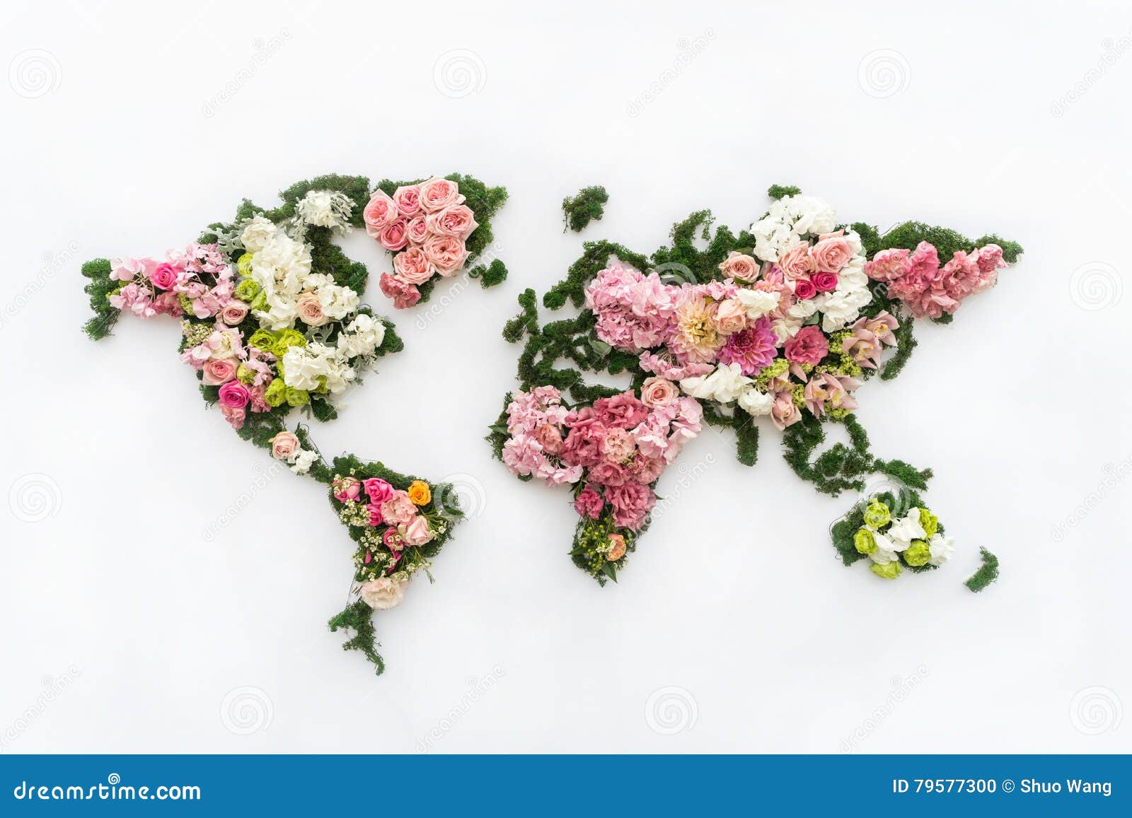 Mapa Do Mundo Feito Das Flores Foto de Stock - Imagem de idéias, europa ...