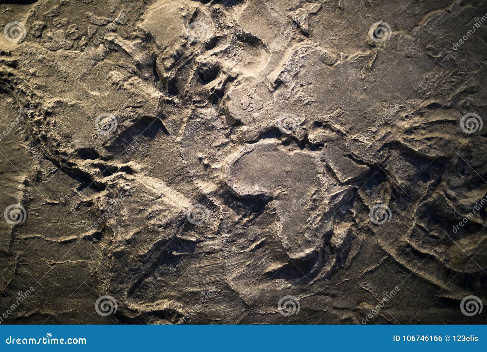 Mapa do mundo do relevo foto de stock. Imagem de mundo - 106746166