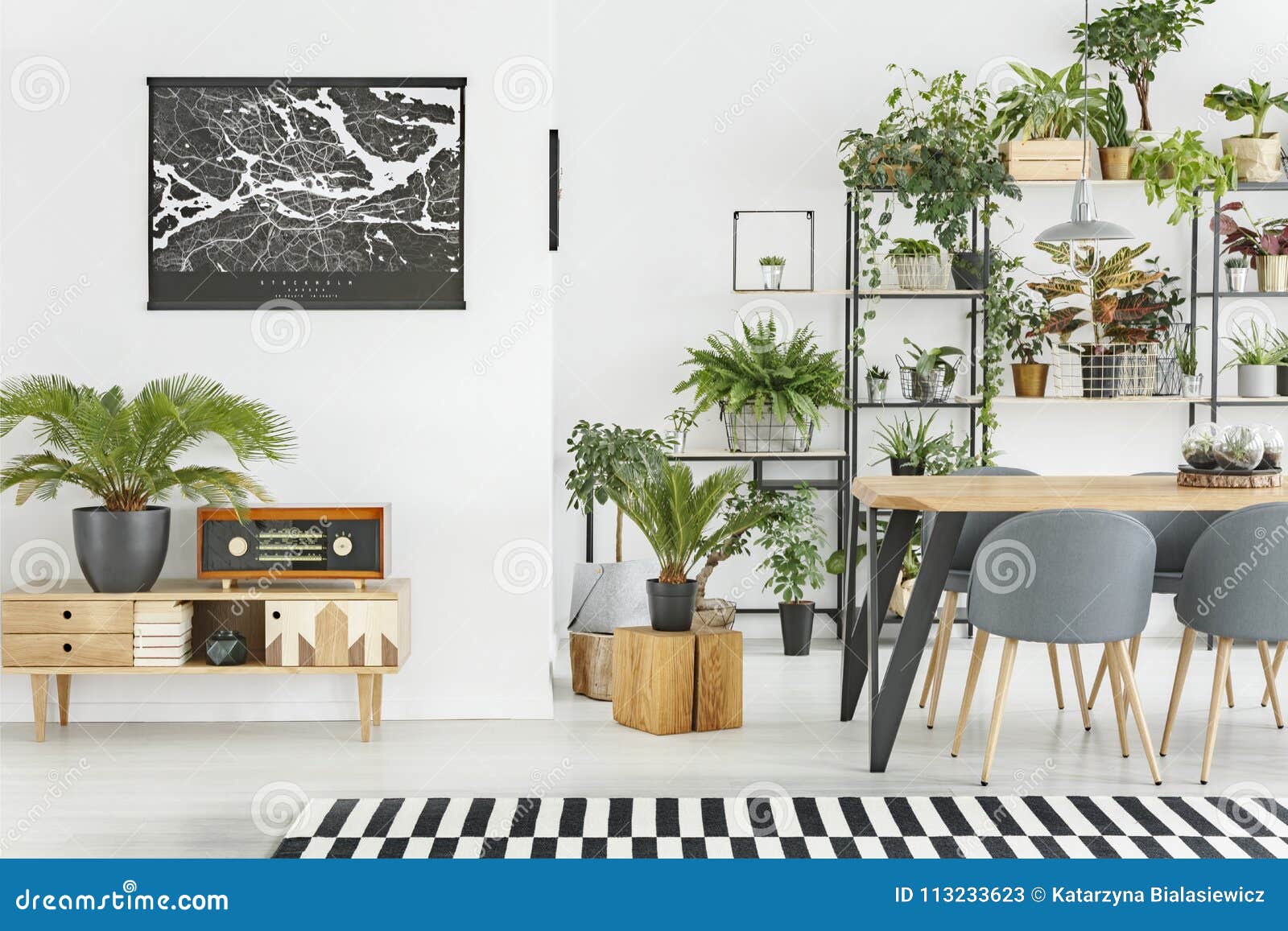 Mapa Preto Na Sala De Jantar Imagem de Stock - Imagem de tapete, floral ...