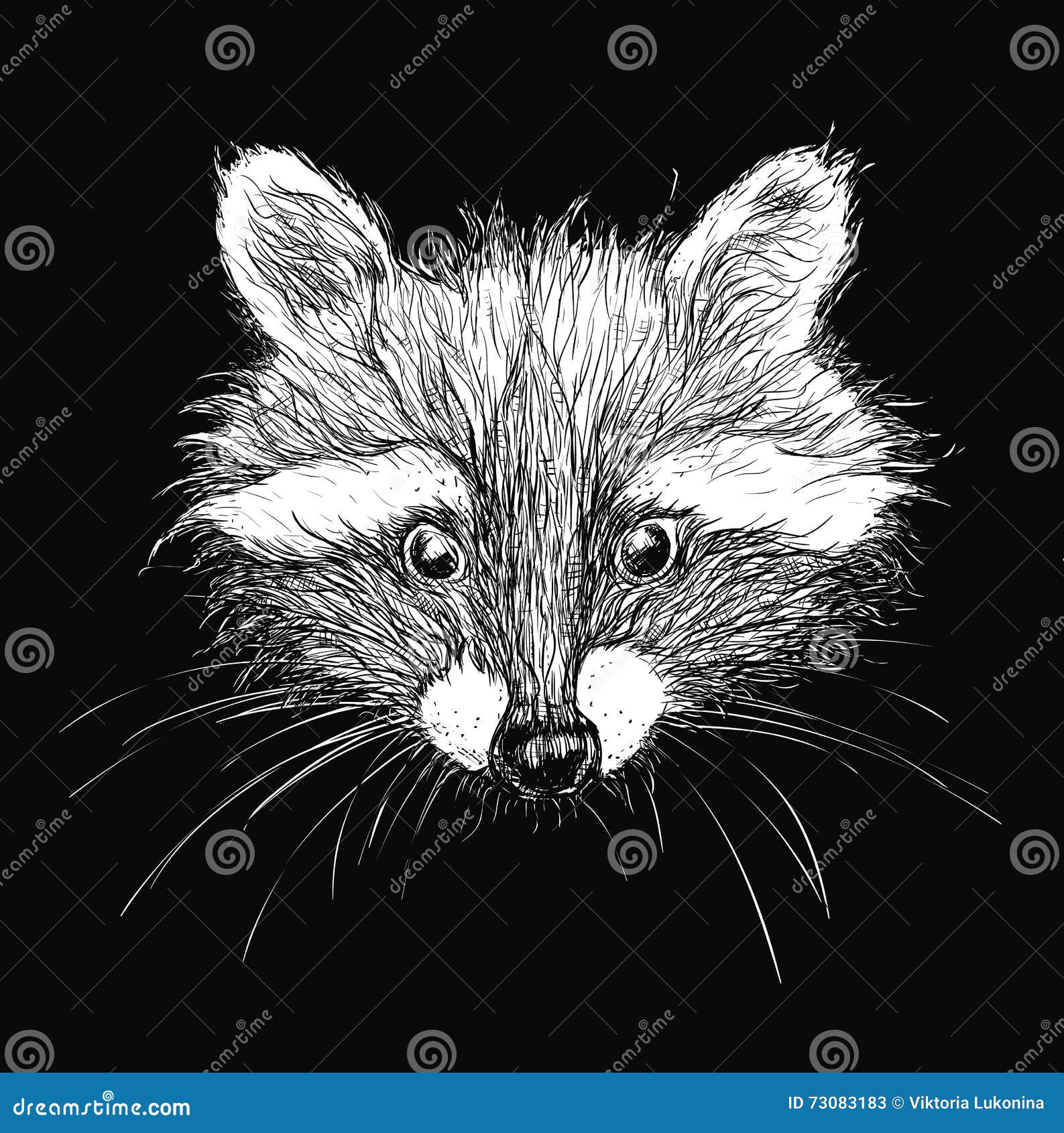 Mapache dibujado mano ilustración del vector. Ilustración de peludo ...