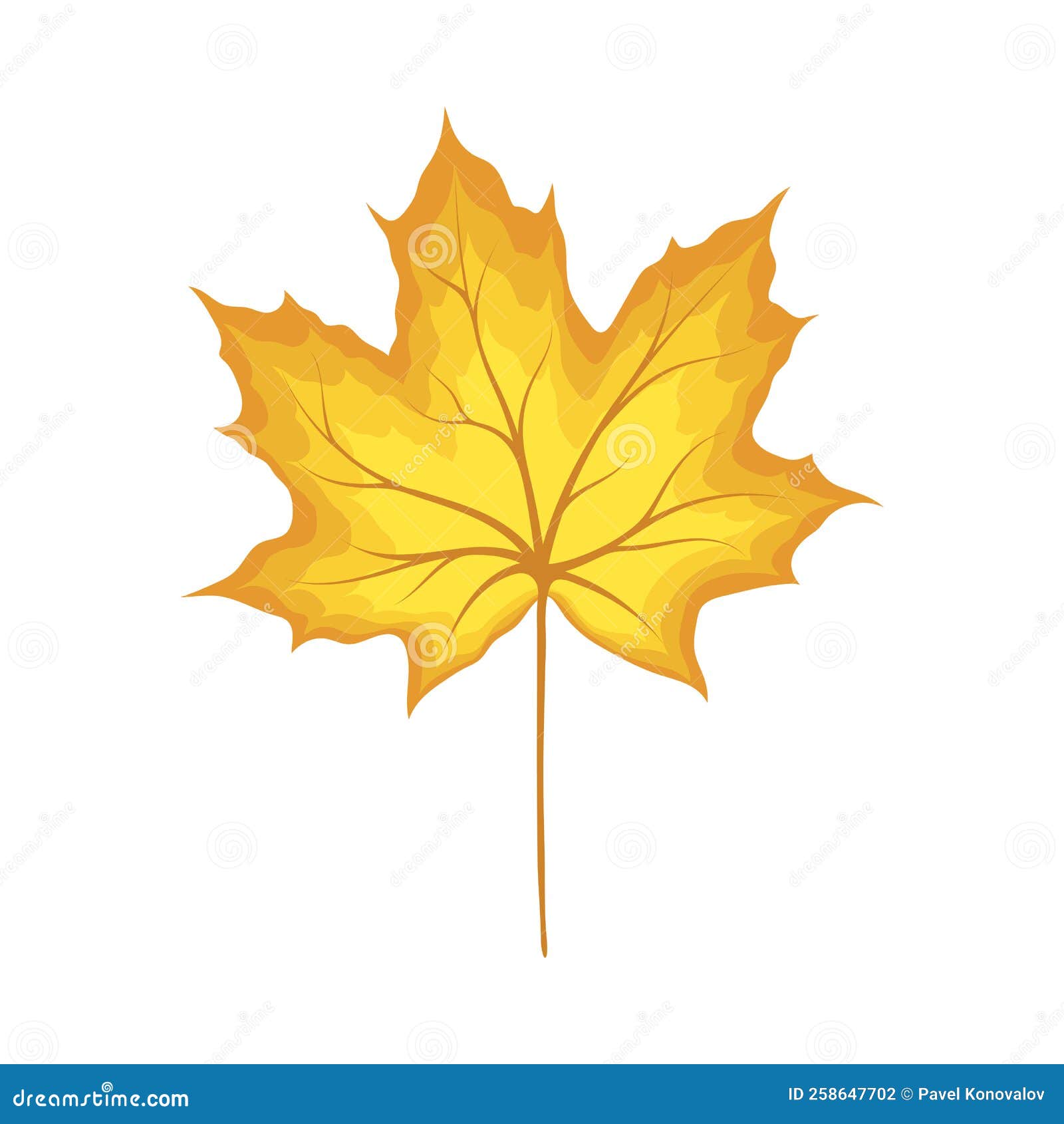 Maple Autumn Leaf stock vector. Illustration of october - 258647702