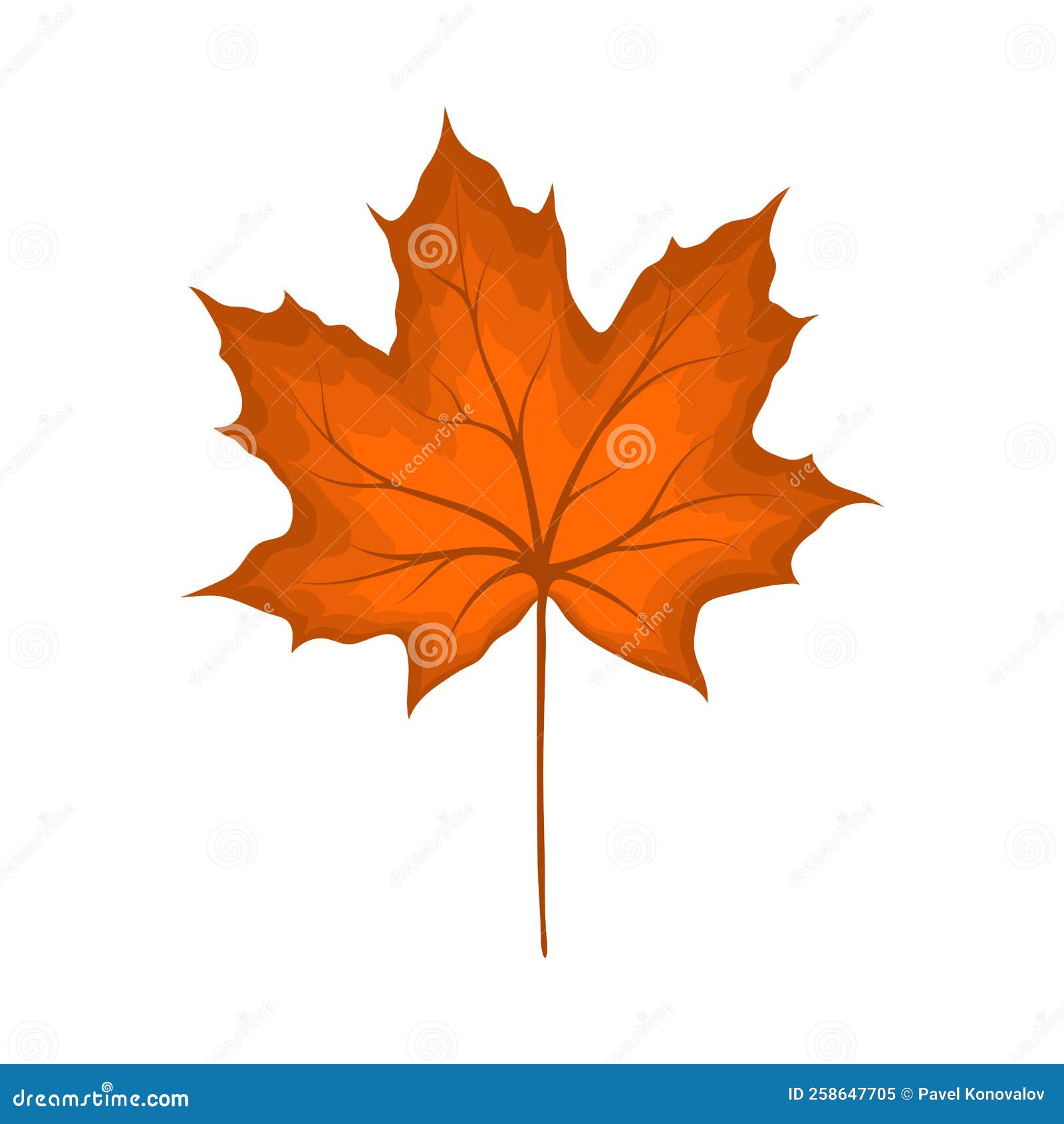 Maple Autumn Leaf stock vector. Illustration of canadian - 258647705