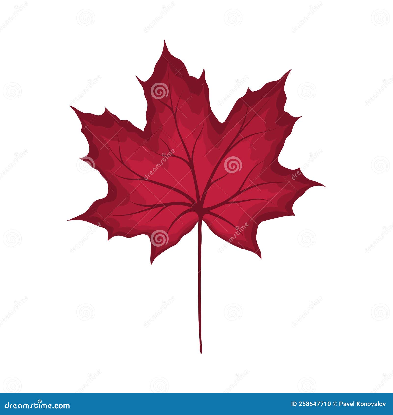 Maple Autumn Leaf stock vector. Illustration of abstract - 258647710