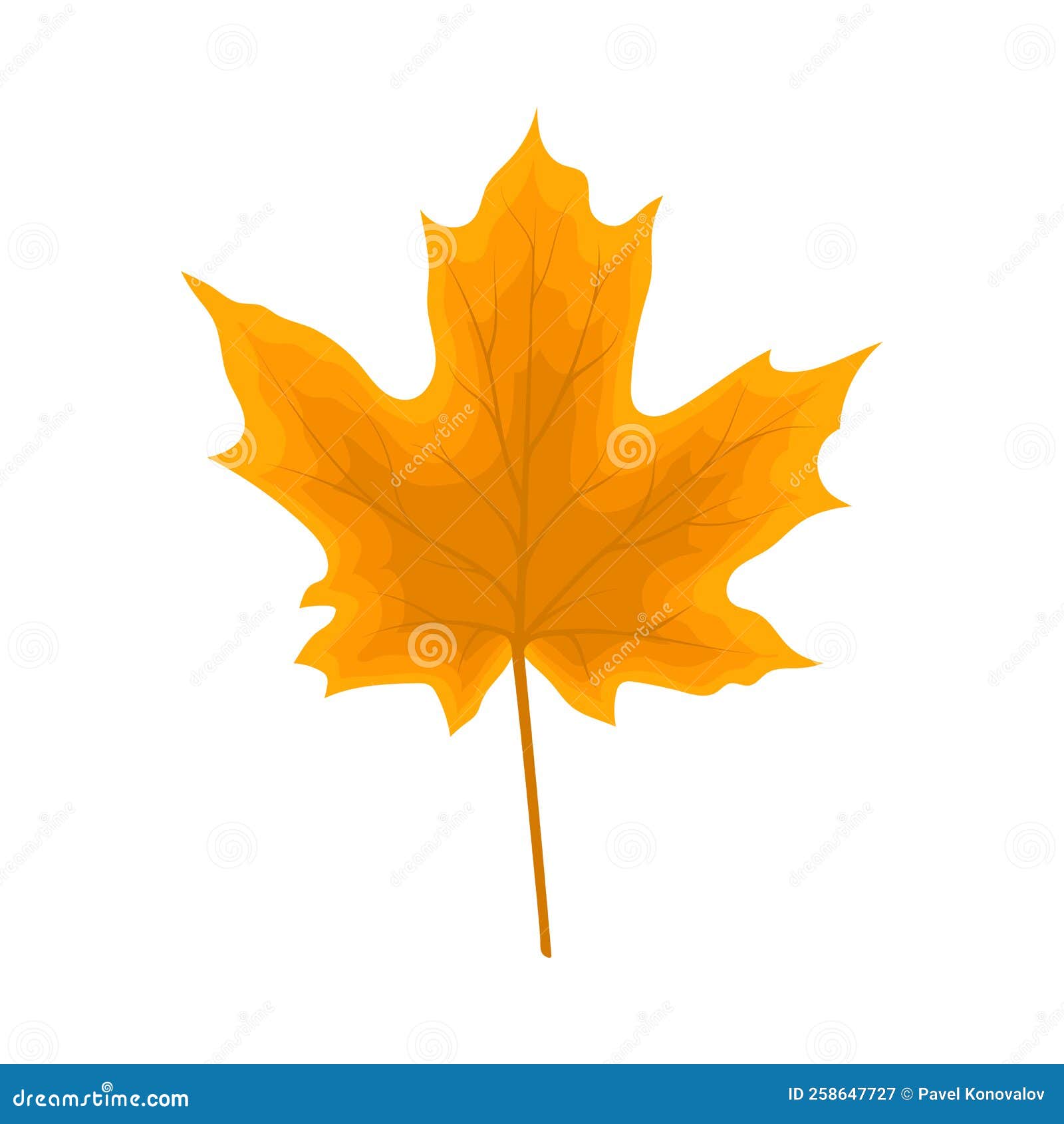 Maple Autumn Leaf stock vector. Illustration of colorful - 258647727