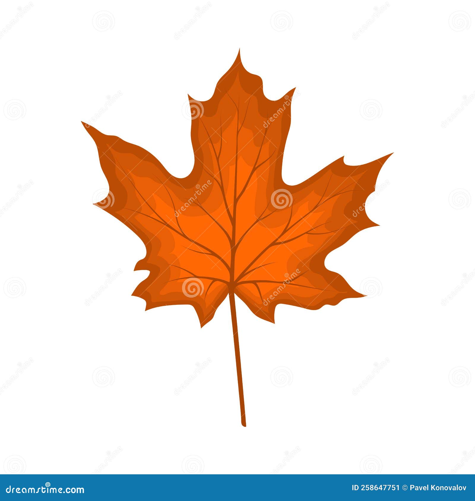 Maple Autumn Leaf stock vector. Illustration of graphic - 258647751