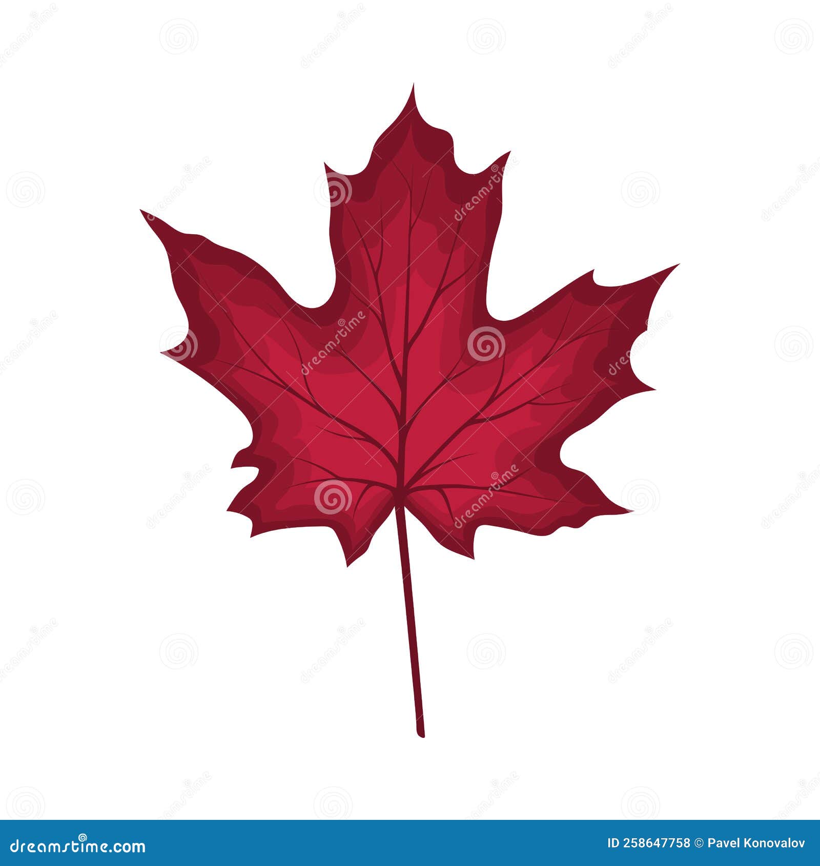 Maple Autumn Leaf stock vector. Illustration of collection - 258647758