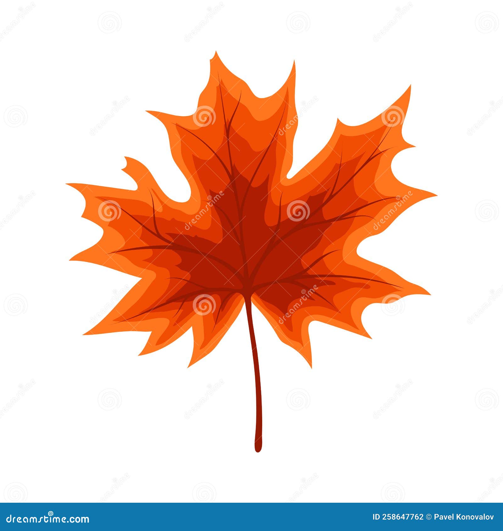 Maple Autumn Leaf stock vector. Illustration of orange - 258647762