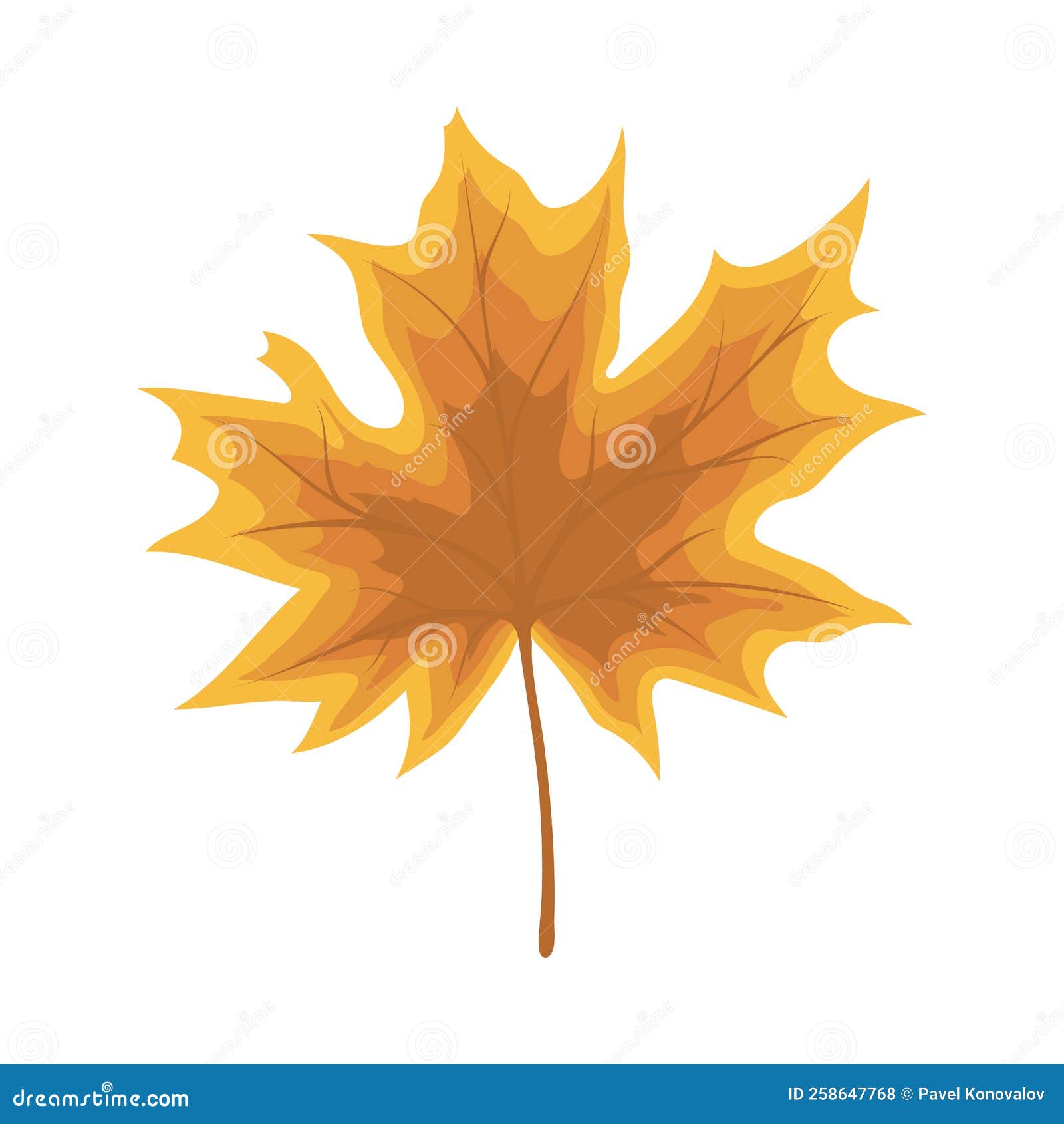 Maple Autumn Leaf stock vector. Illustration of graphic - 258647768