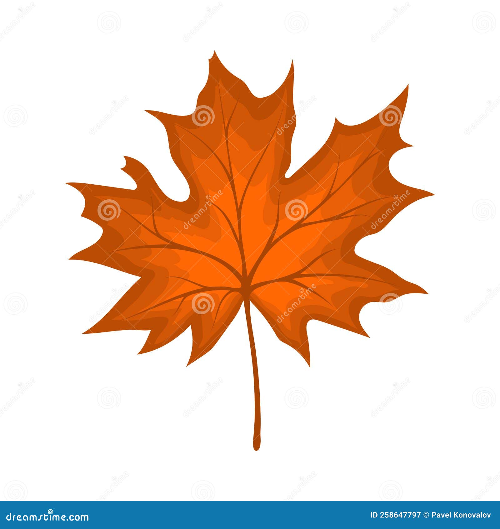 Maple Autumn Leaf stock vector. Illustration of leaf - 258647797