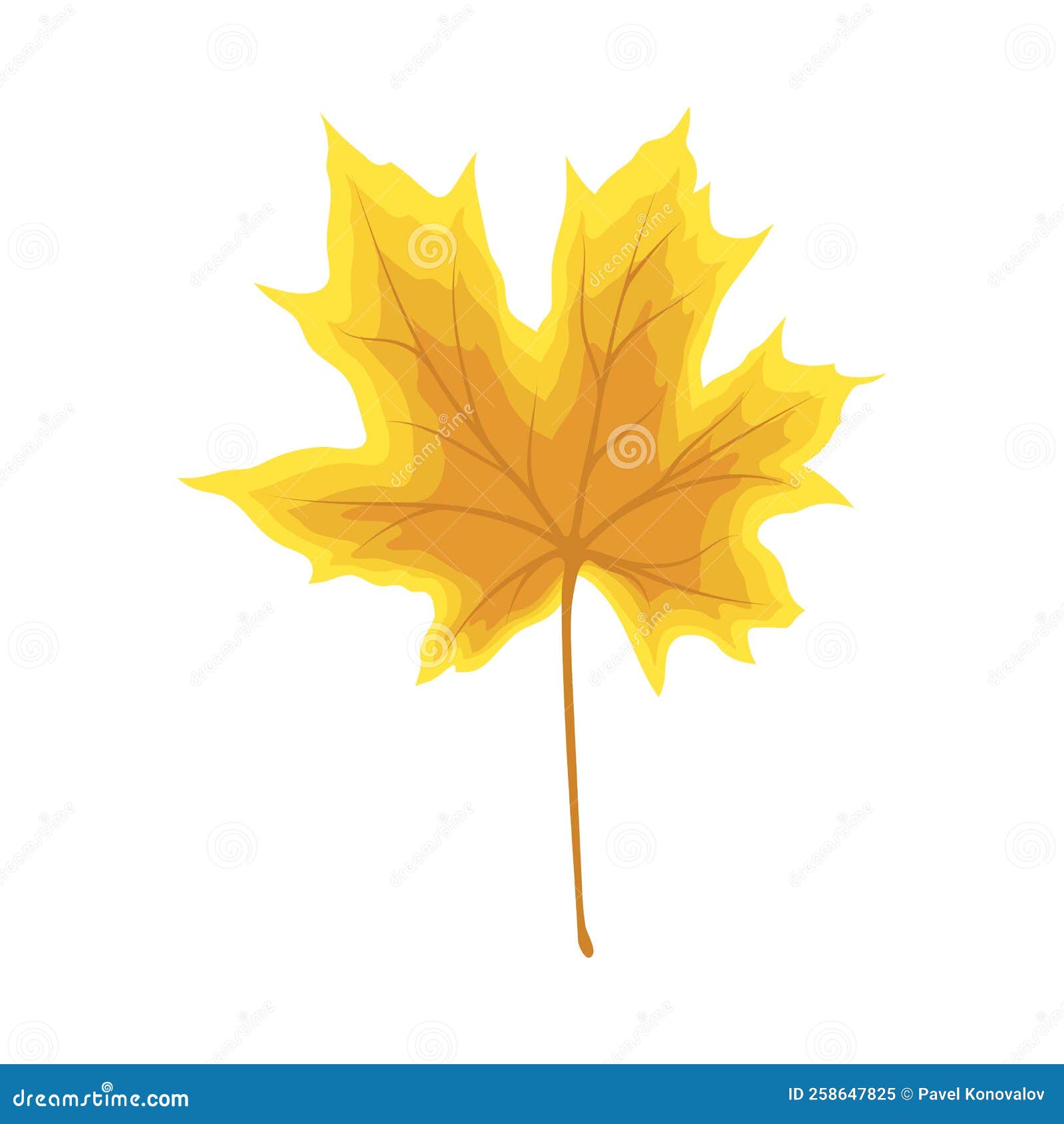 Maple Autumn Leaf stock vector. Illustration of abstract - 258647825