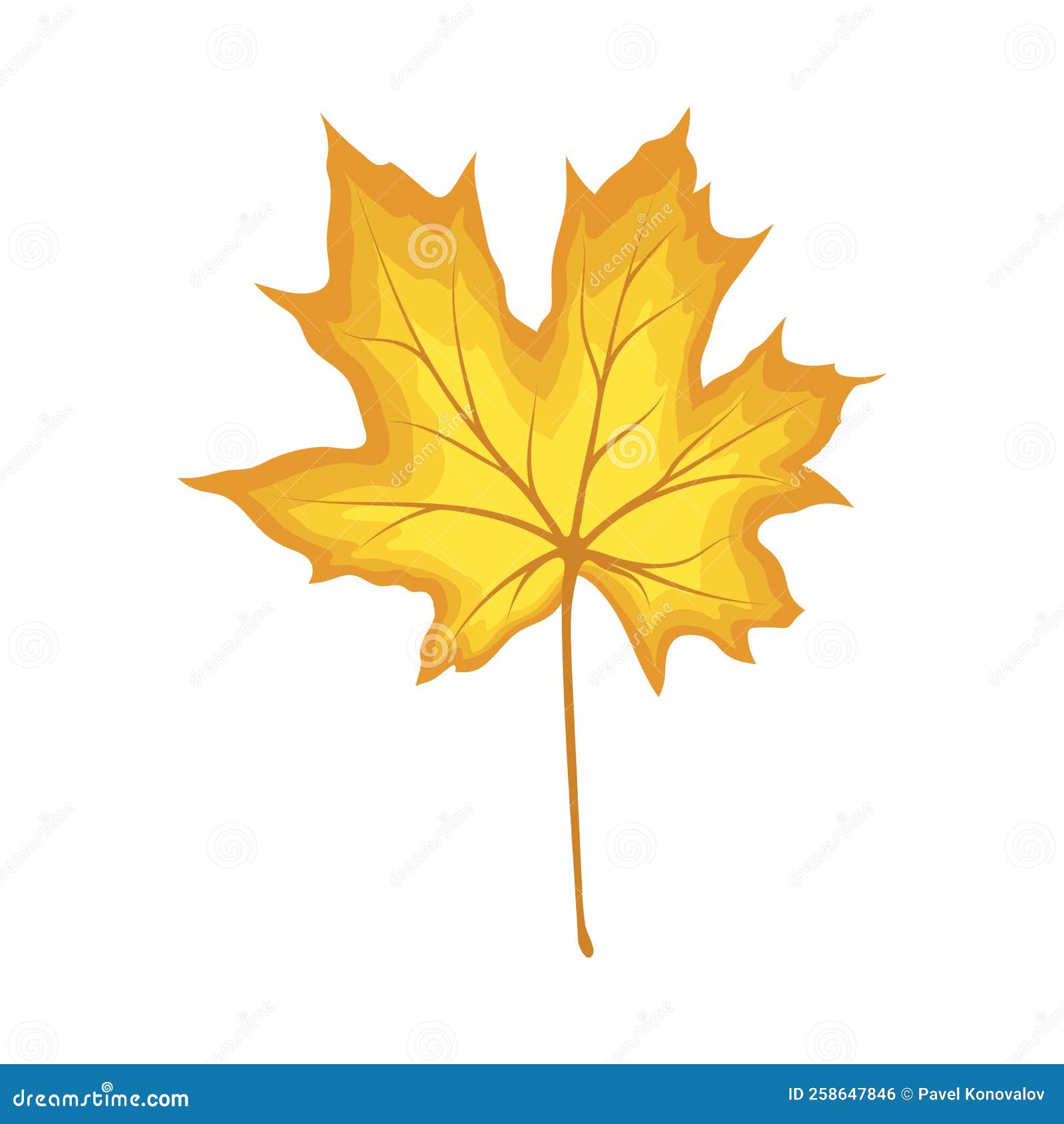 Maple Autumn Leaf stock vector. Illustration of autumn - 258647846