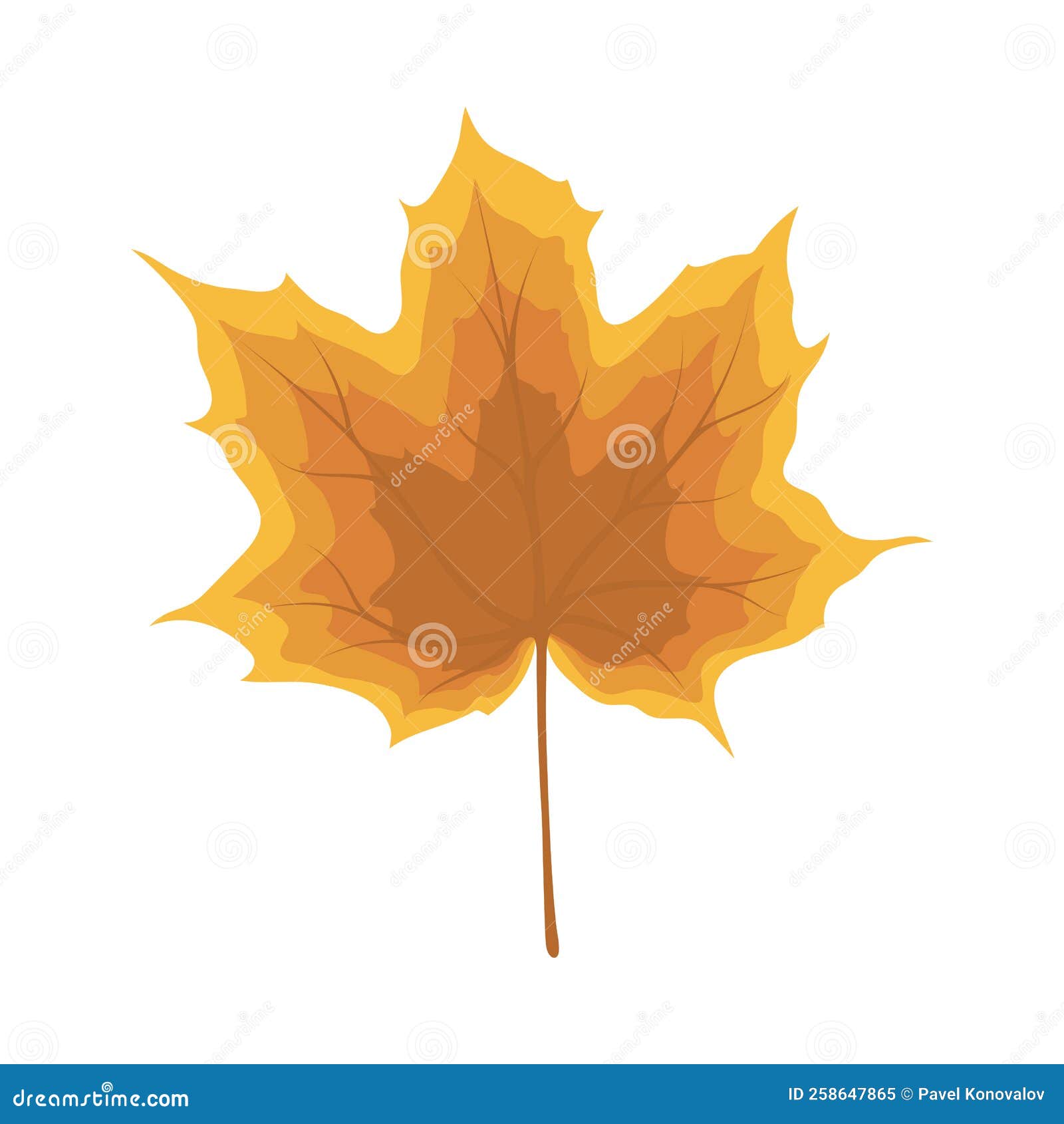 Maple Autumn Leaf stock vector. Illustration of beautiful - 258647865