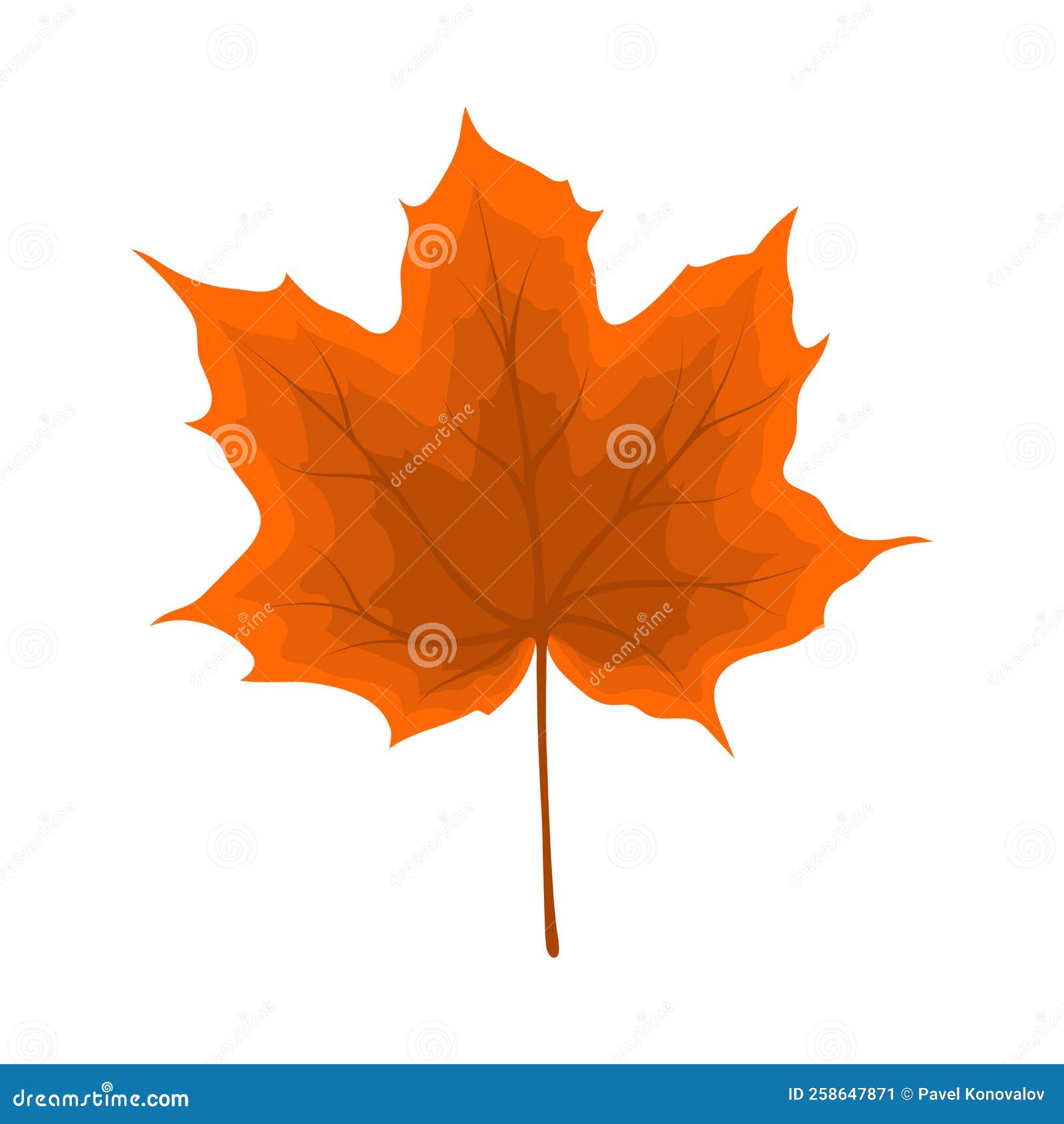 Maple Autumn Leaf stock illustration. Illustration of beautiful - 258647871