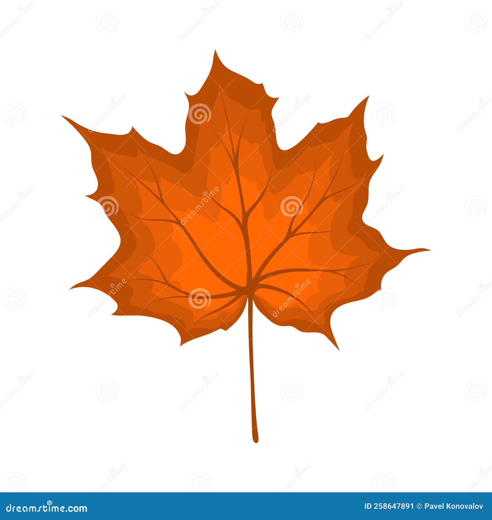 Maple Autumn Leaf stock illustration. Illustration of canada - 258647891