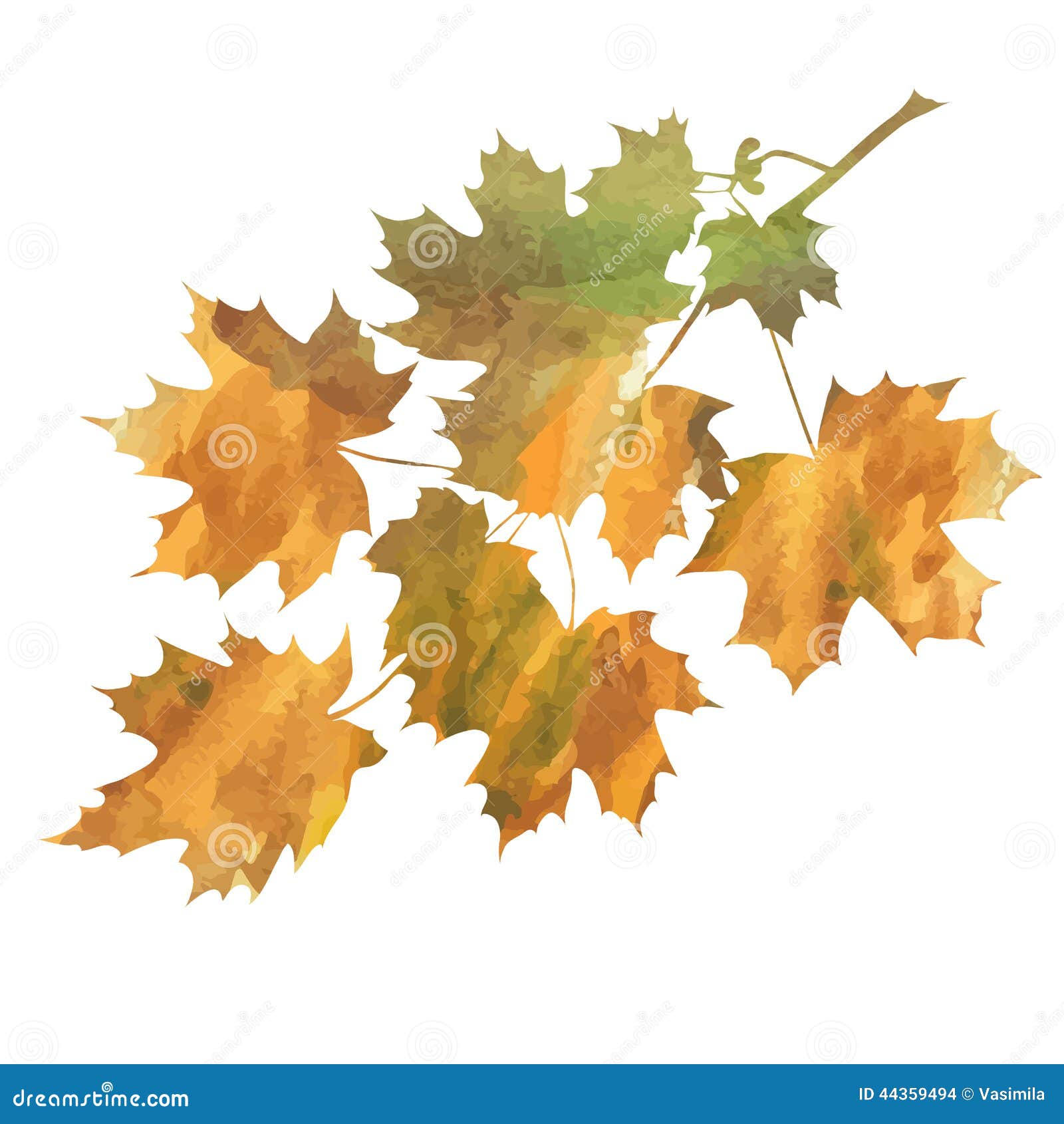 Maple branch stock vector. Illustration of october, lush - 44359494