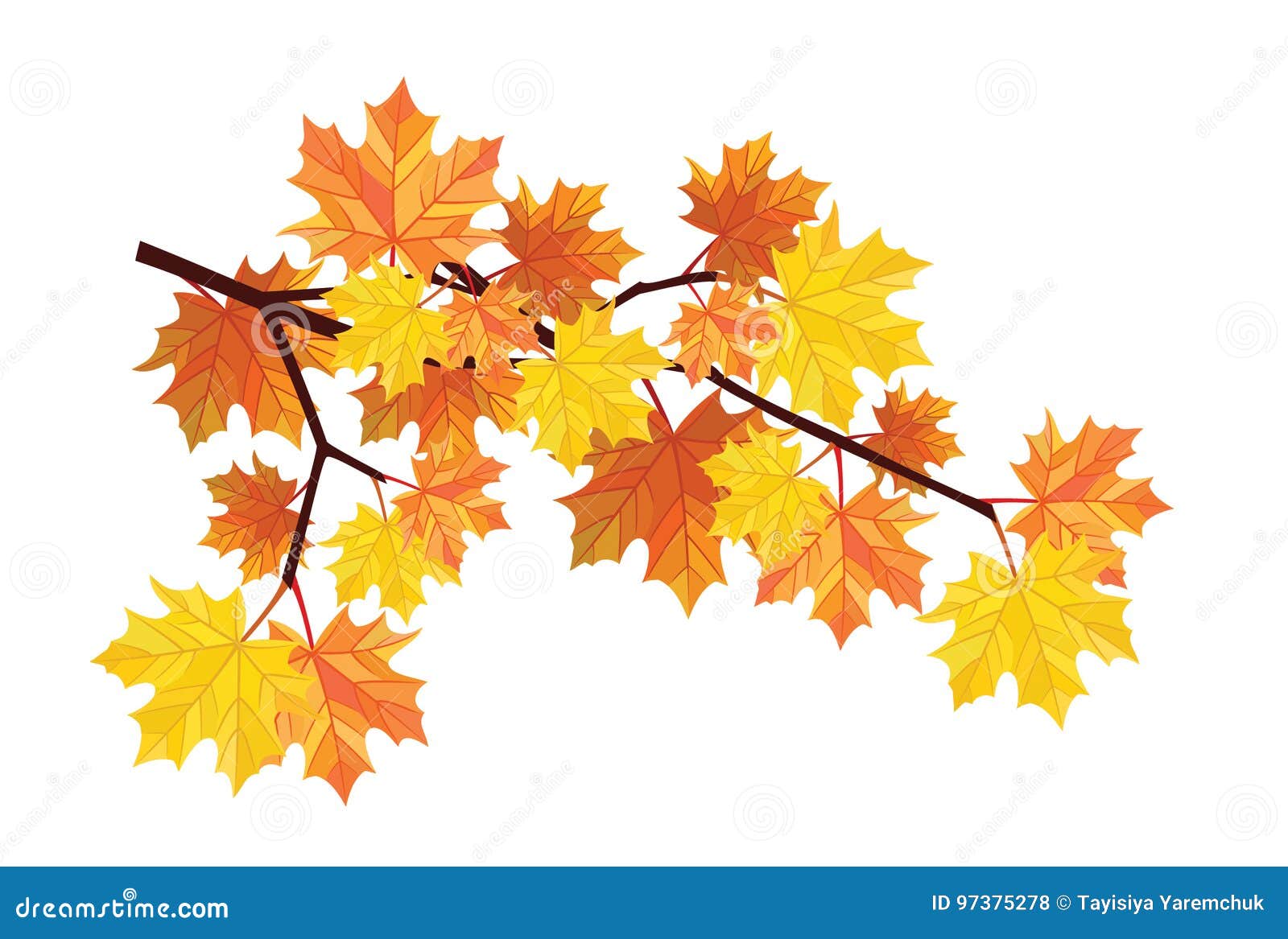 Maple Branch Isolated on White. Vector Illustration. Stock Illustration ...