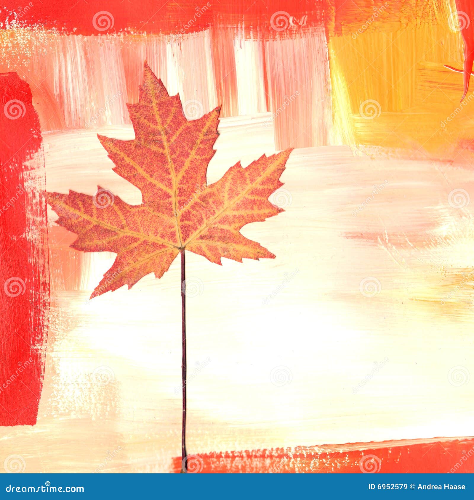Maple collage stock illustration. Illustration of pressed - 6952579