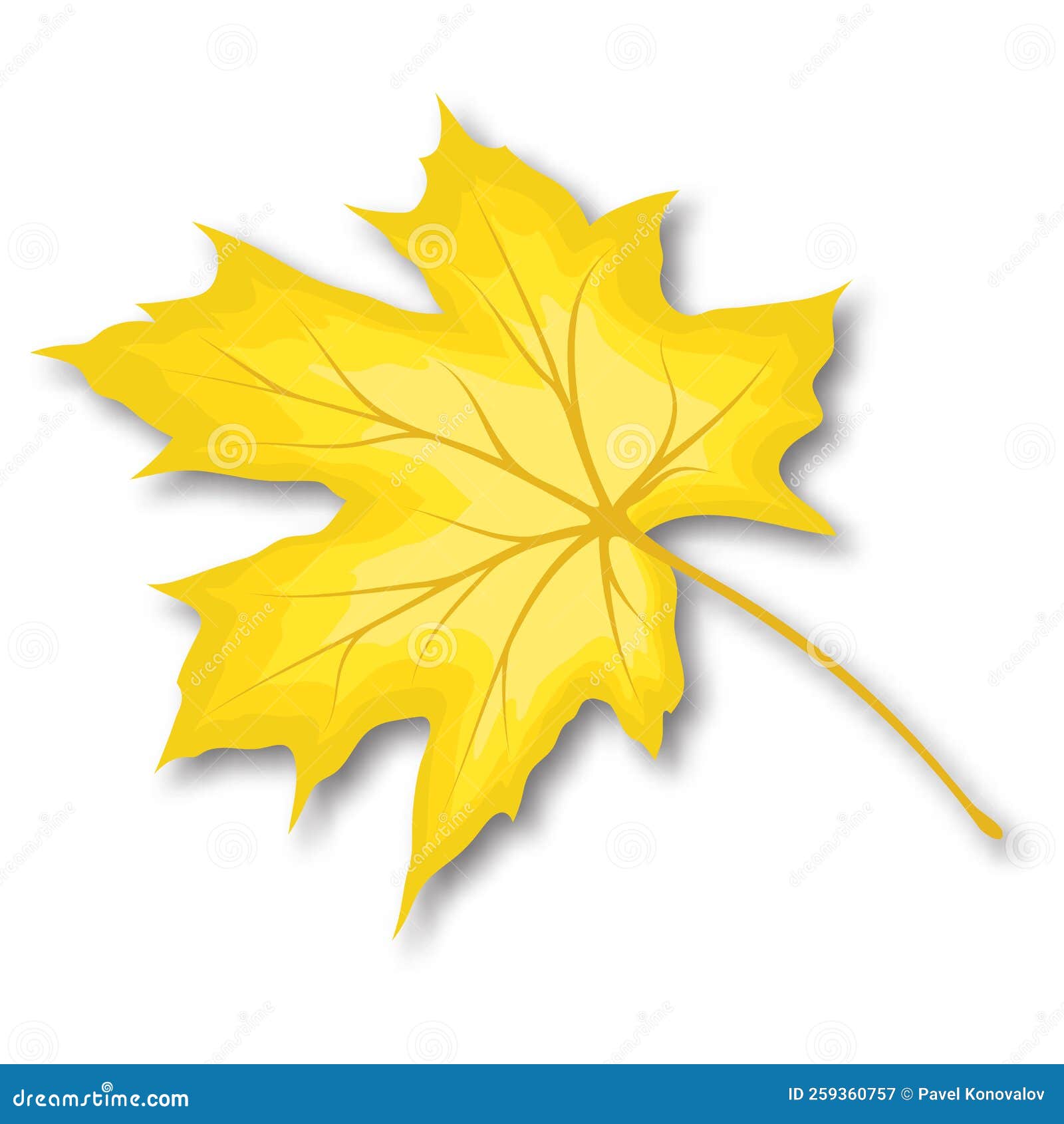 Maple Fall Leaf stock vector. Illustration of ornament - 259360757
