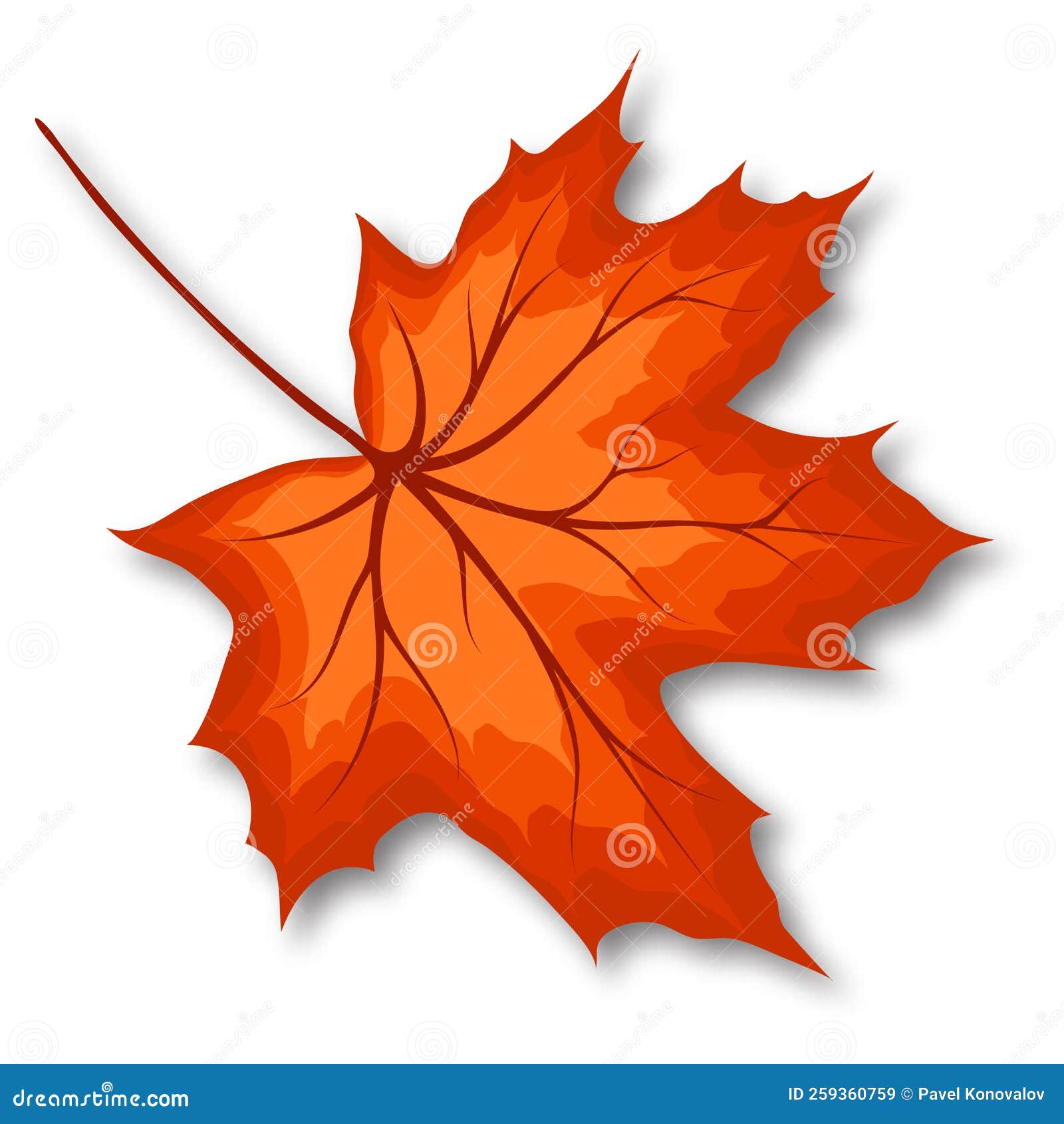 Maple Fall Leaf stock vector. Illustration of october - 259360759