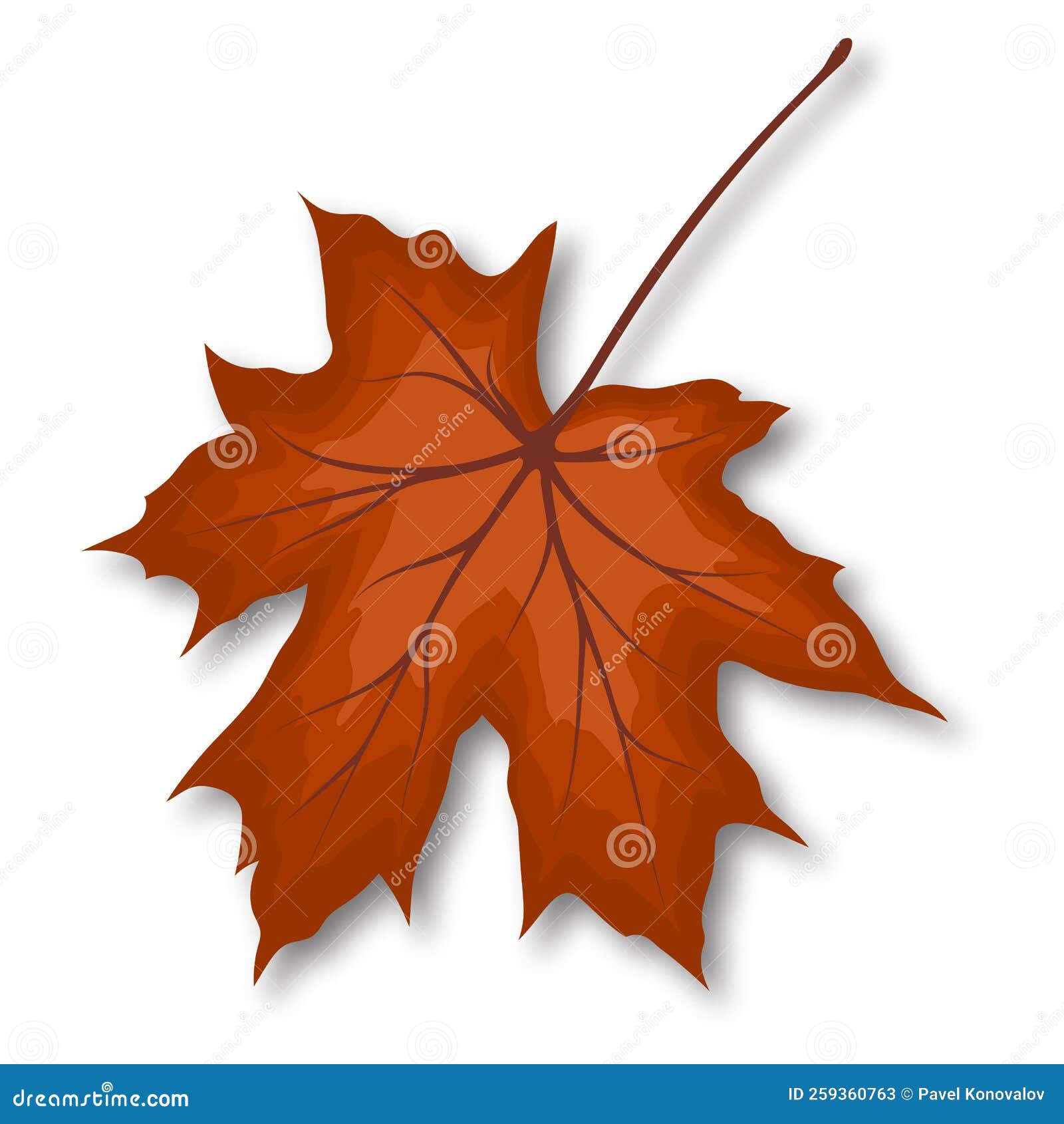 Maple Fall Leaf stock illustration. Illustration of flora - 259360763