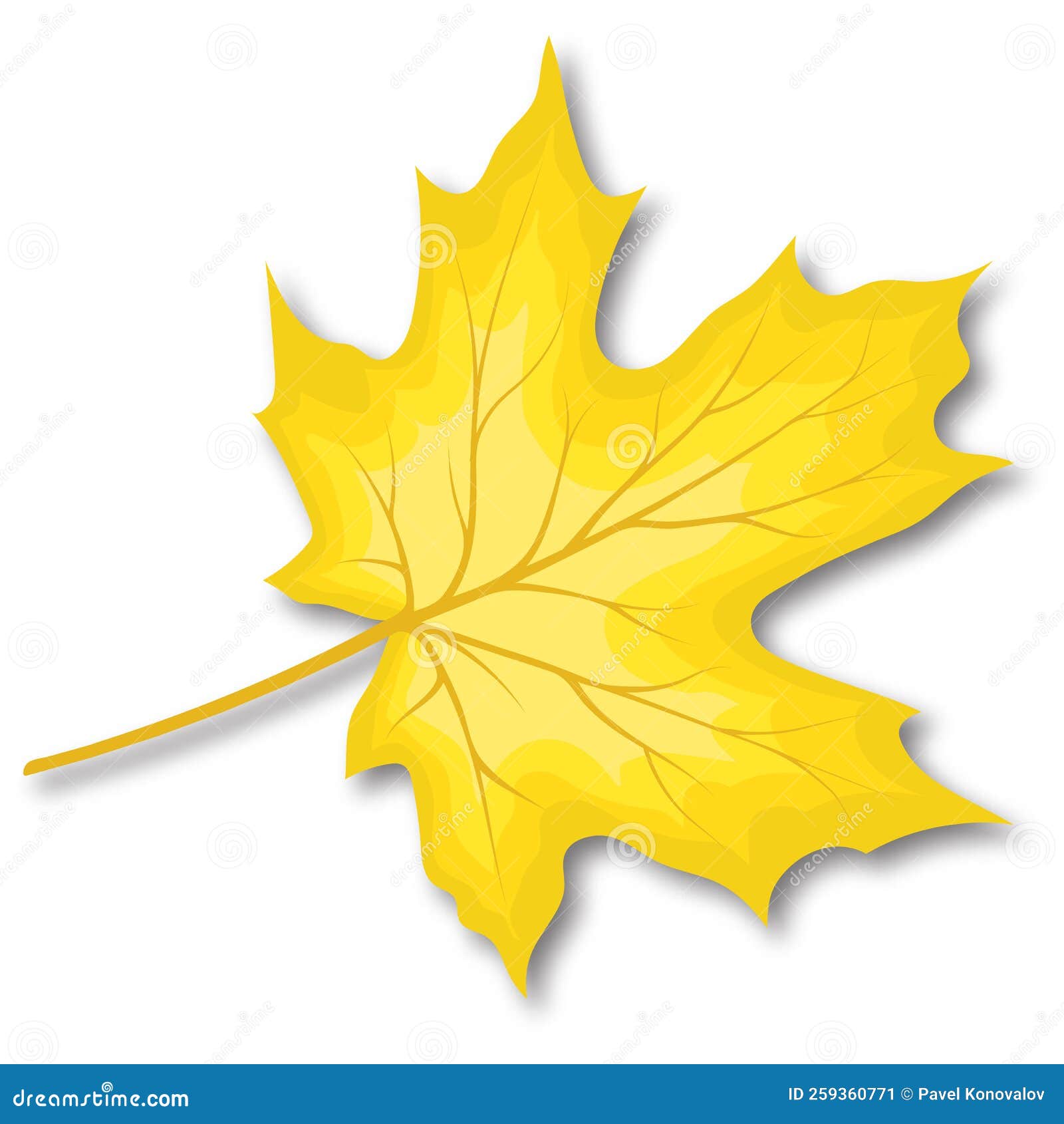 Maple Fall Leaf stock vector. Illustration of isolated - 259360771